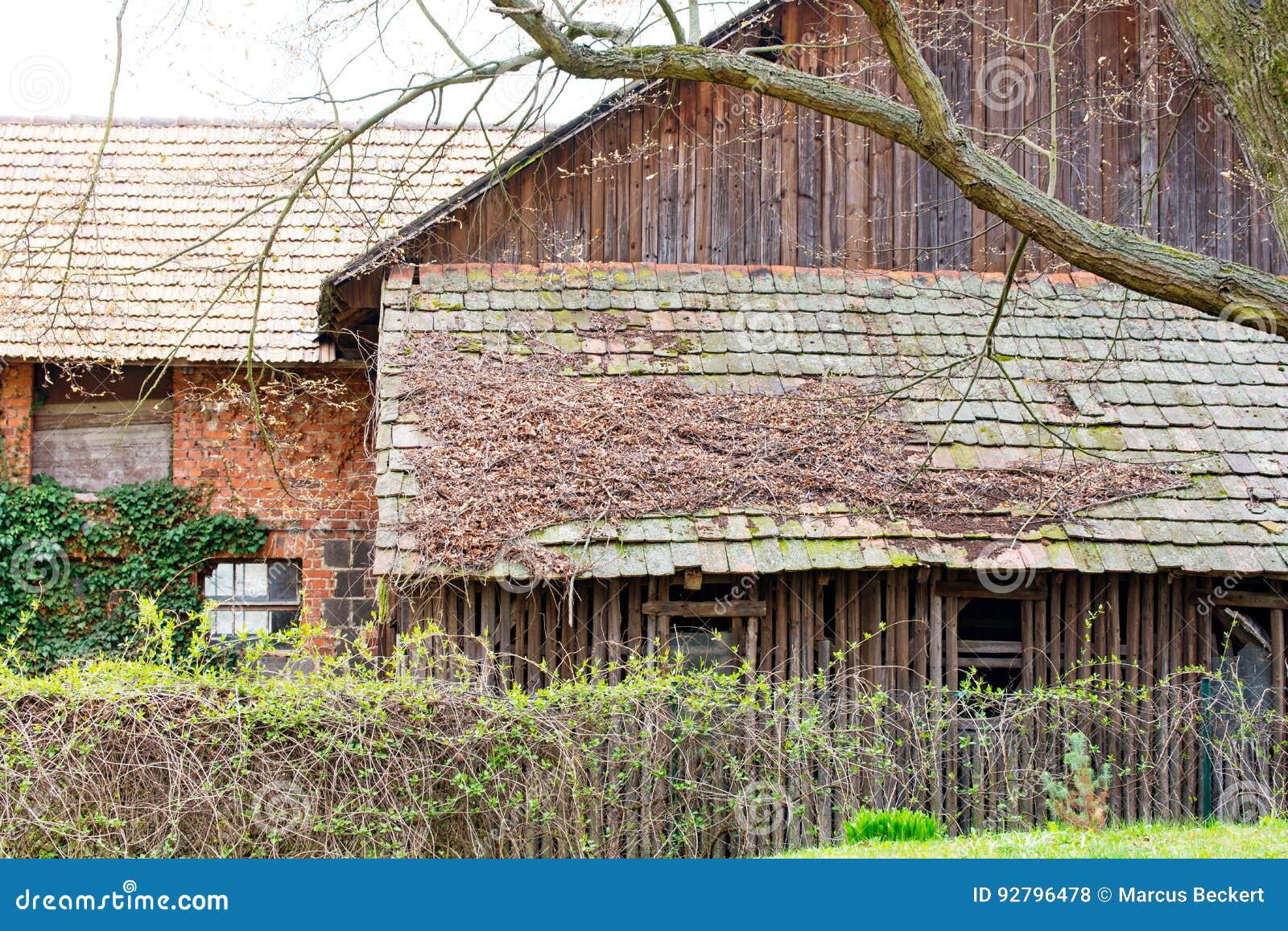 Old Roof from a Dilapidated Barn Stock Photo - Image of brown, home ...