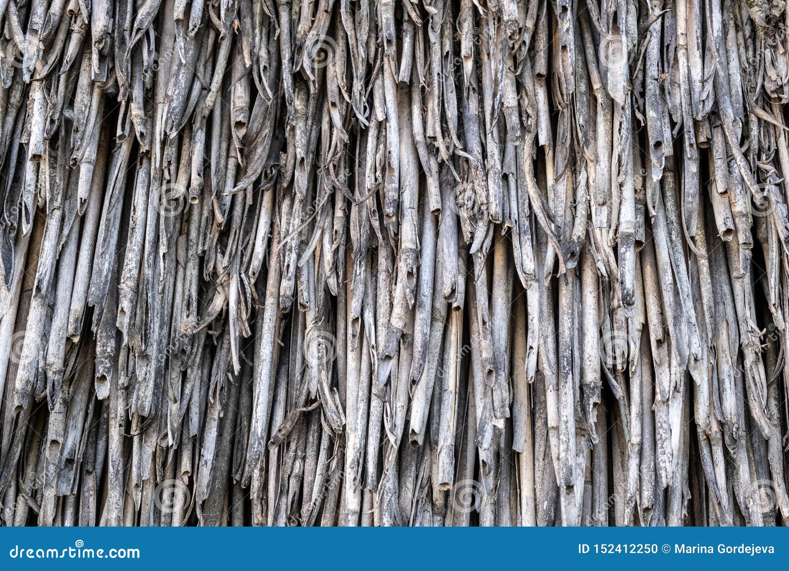 Old Roof with Reed Coating, Top View Stock Photo - Image of background ...