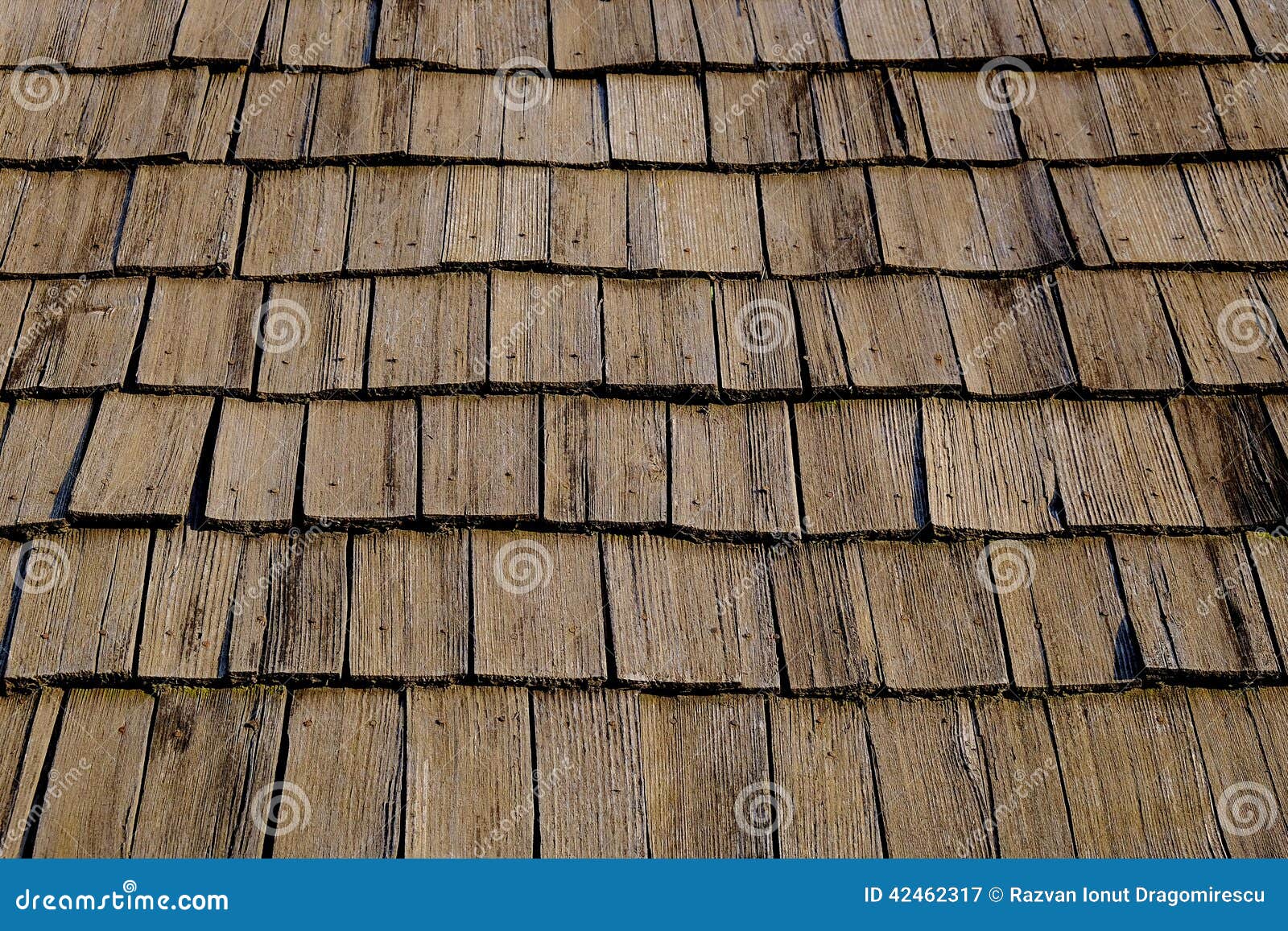 Wood Roof Texture