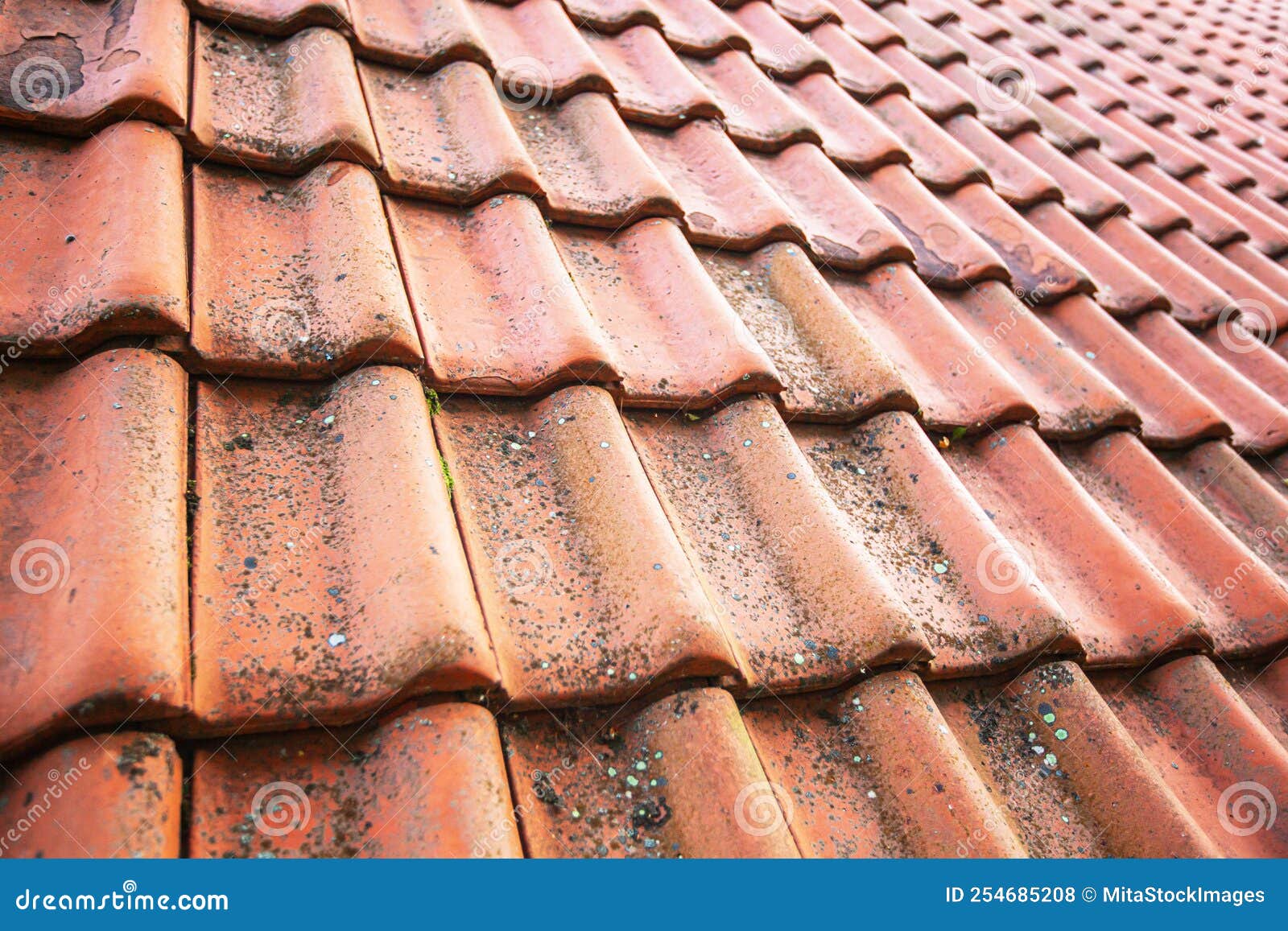 Roofing Tile Texture Stock Photography | CartoonDealer.com #23403584