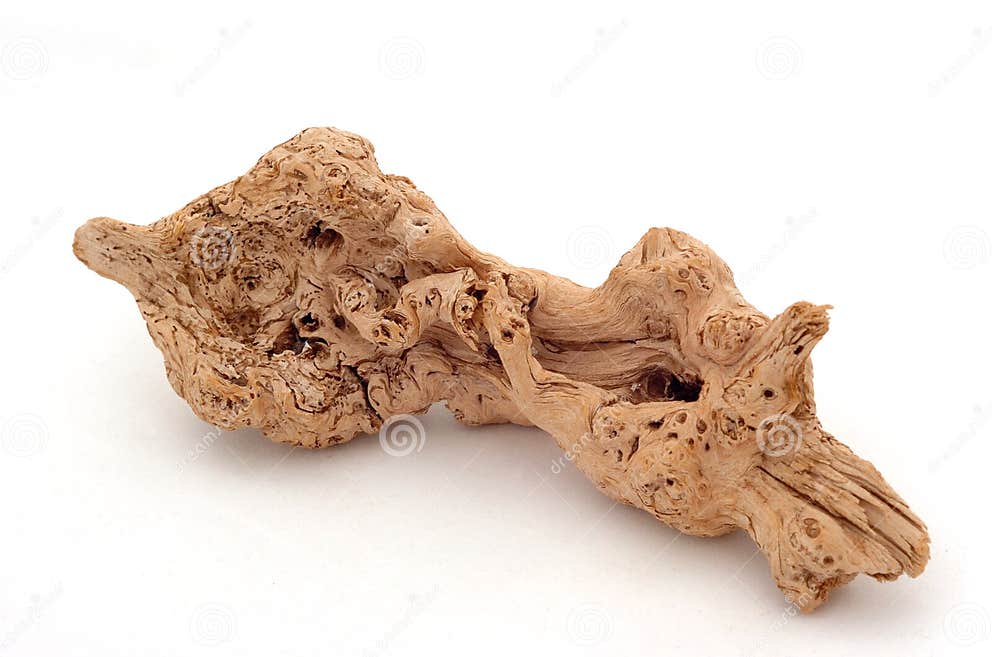 Old root stock photo. Image of wooden, clear, white, pieces - 3105442