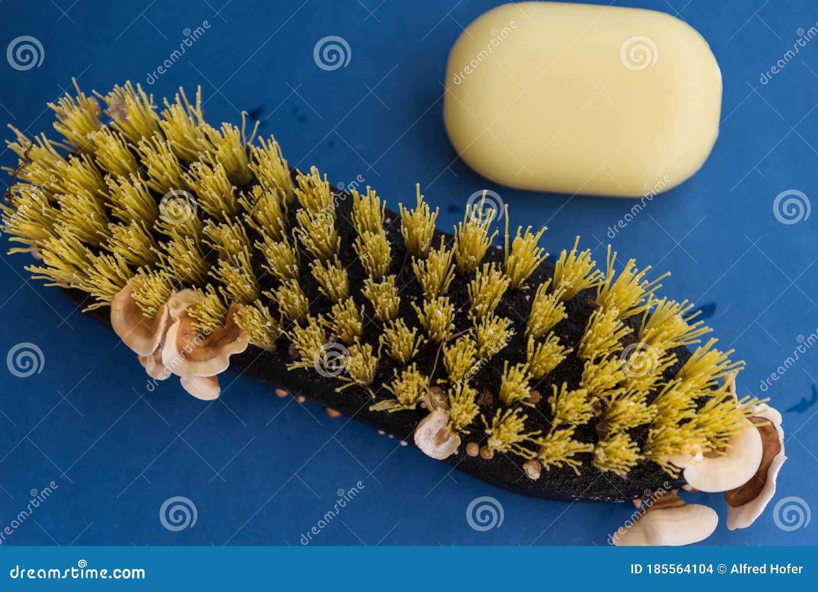 Old root brush and soap stock photo. Image of scour - 185564104