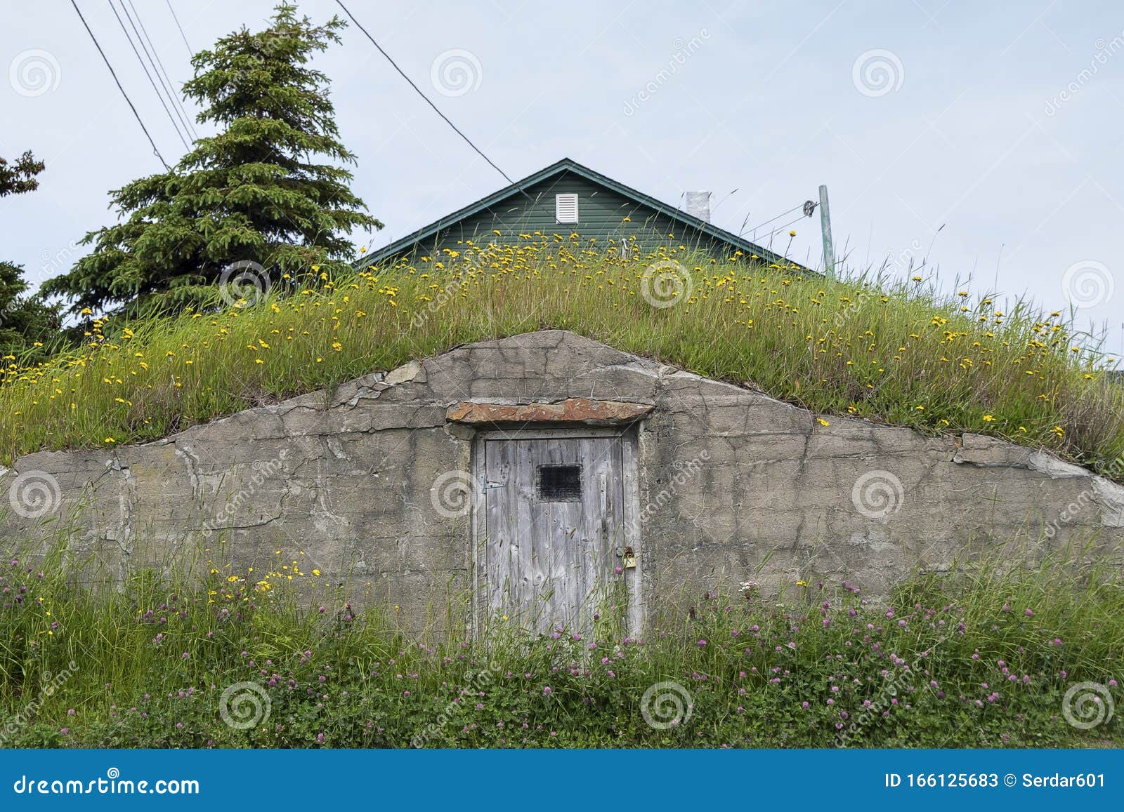 Old root cellar stock image. Image of cellar, landscape - 166125683