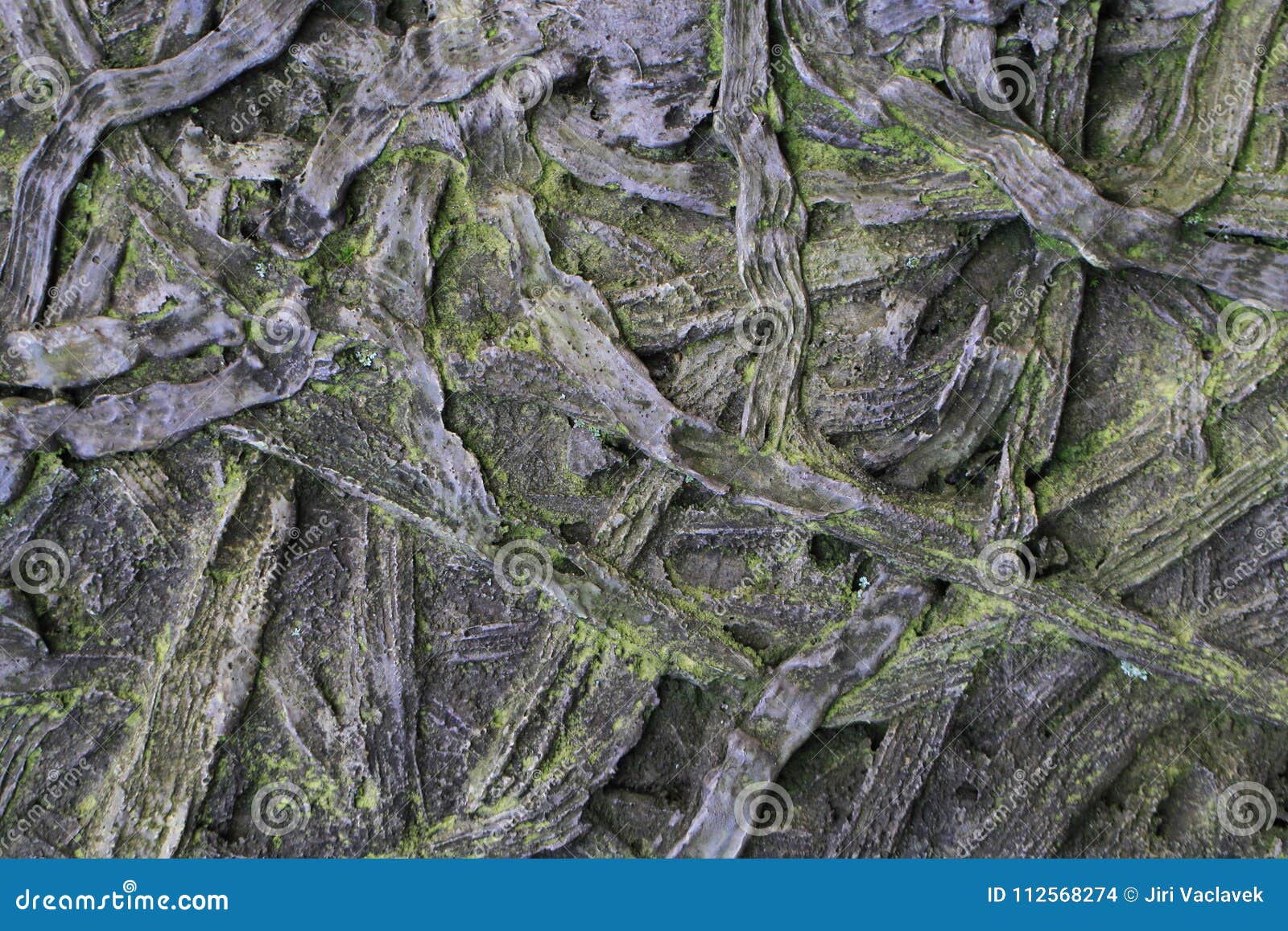 Old root and rope texture stock photo. Image of wall - 112568274