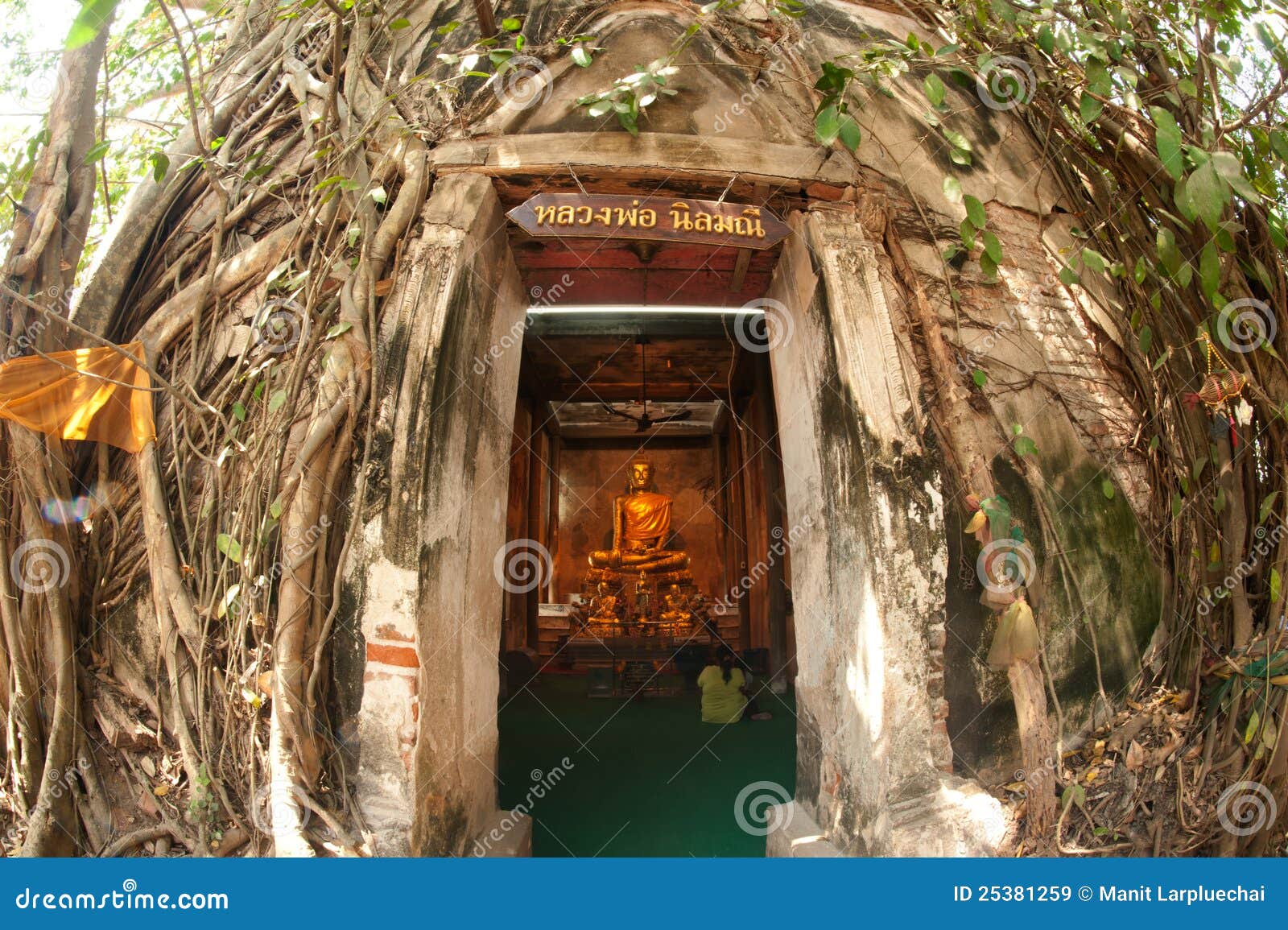 Old Root Tree Around Ancient Thai Church. Stock Image - Image of indoor ...