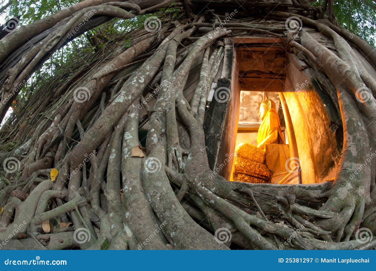 Old Root Tree Around Ancient Thai Church. Stock Image - Image of ...