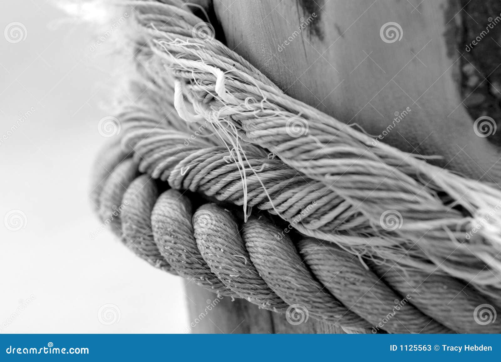Old rope stock image. Image of line, ocean, coastline - 1125563
