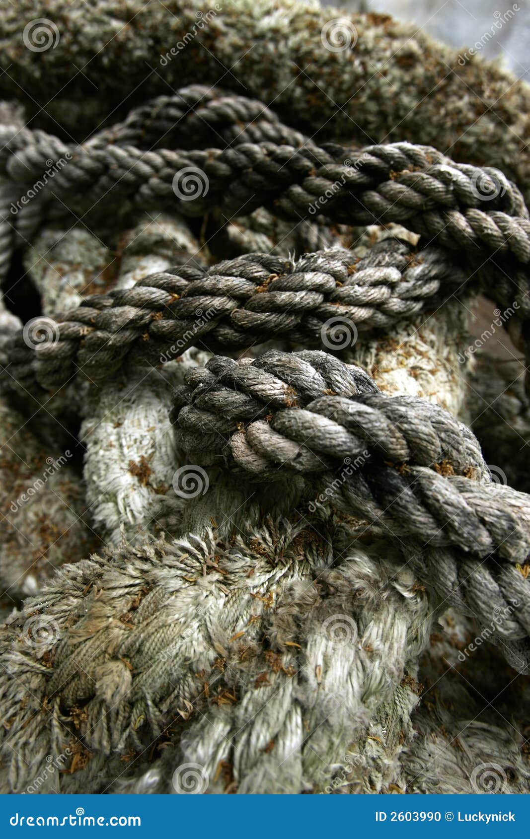 Old rope stock photo. Image of mountaineering, harbor - 2603990