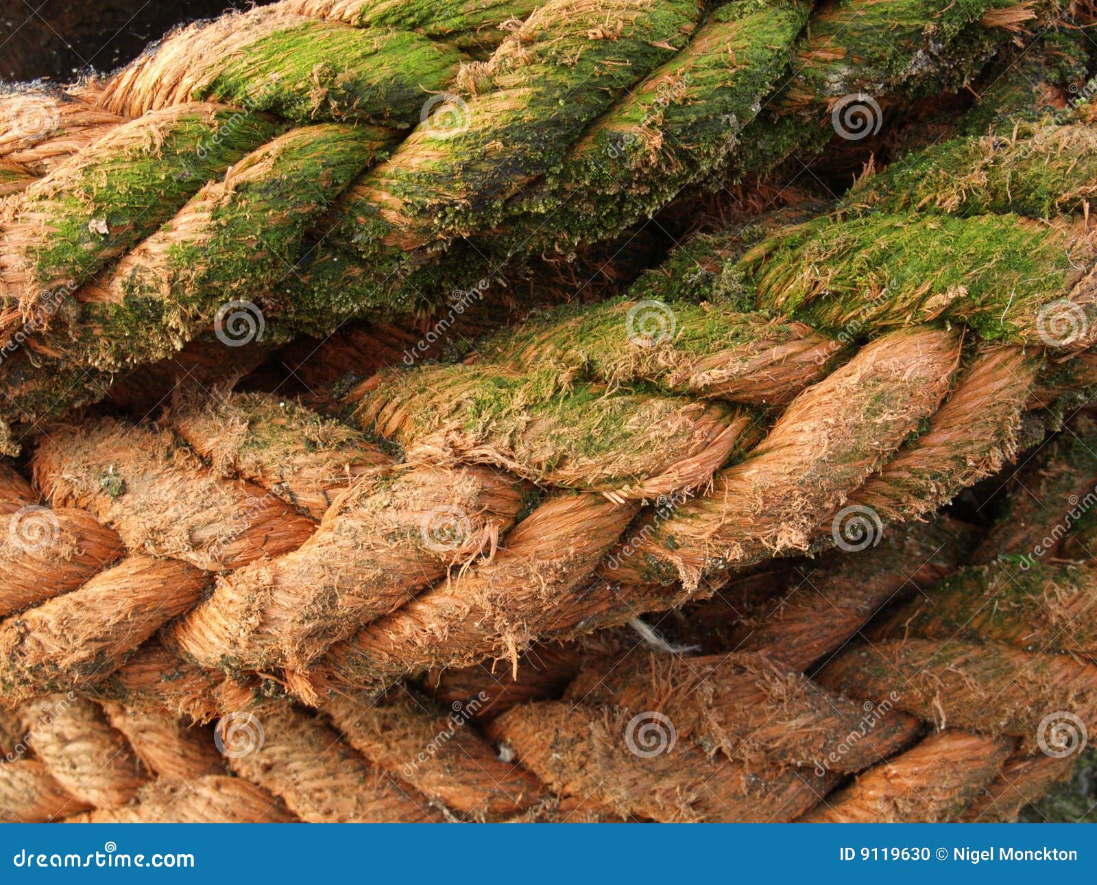 Old rope stock photo. Image of woven, decay, rope, heritage - 9119630