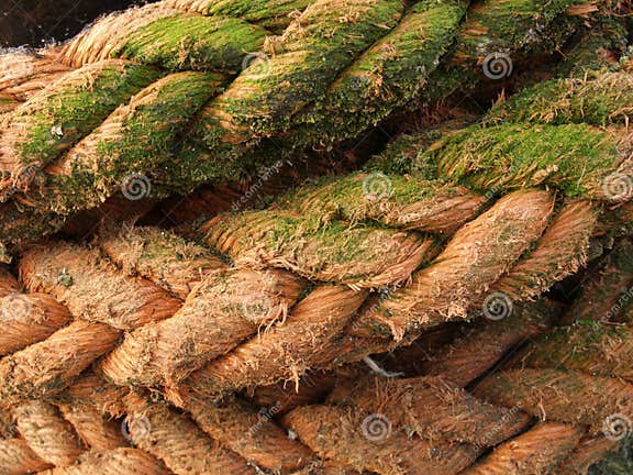 Old rope stock photo. Image of woven, decay, rope, heritage - 9119630