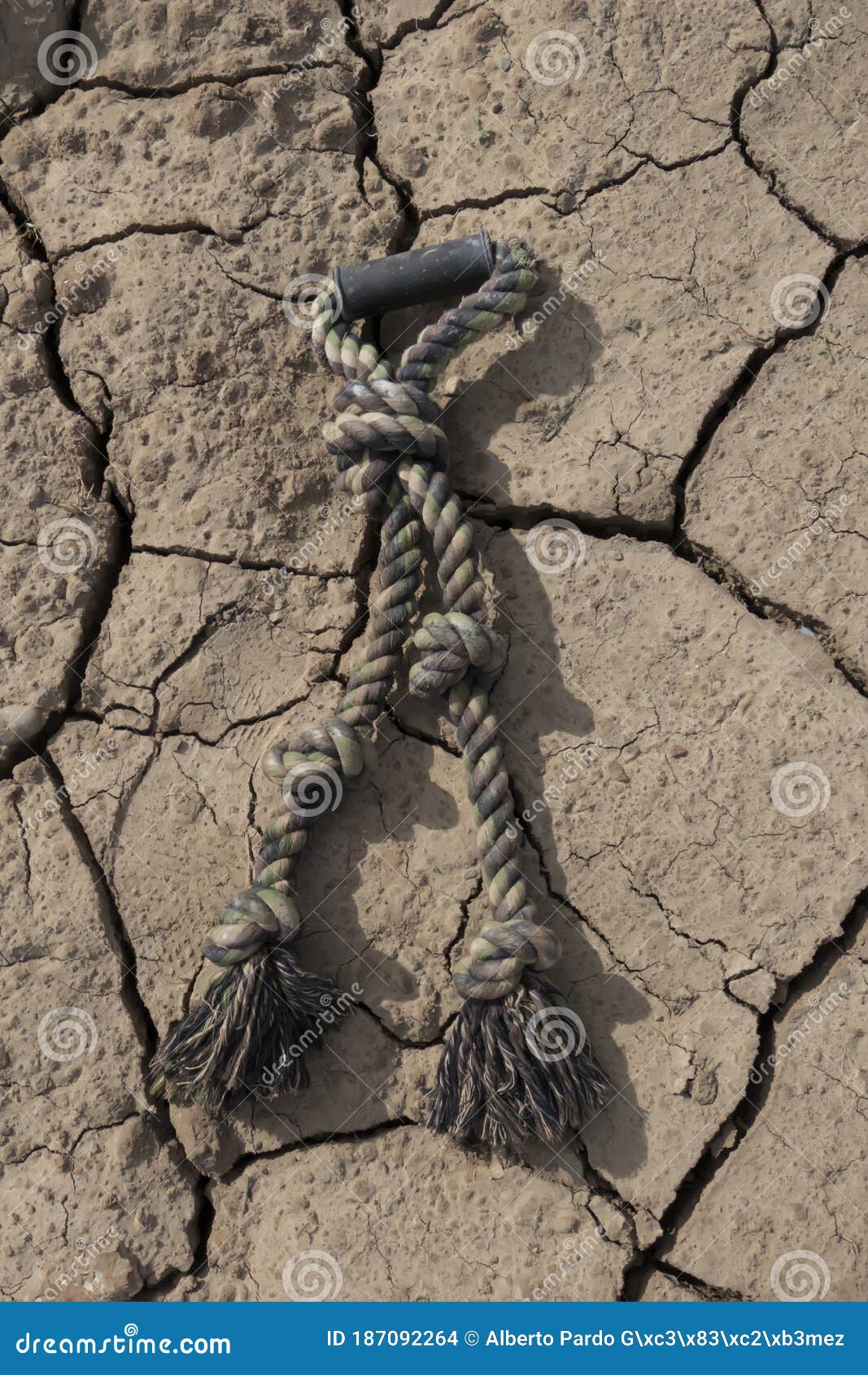 Old Rope on the Broken Dry Ground Stock Photo - Image of organic ...