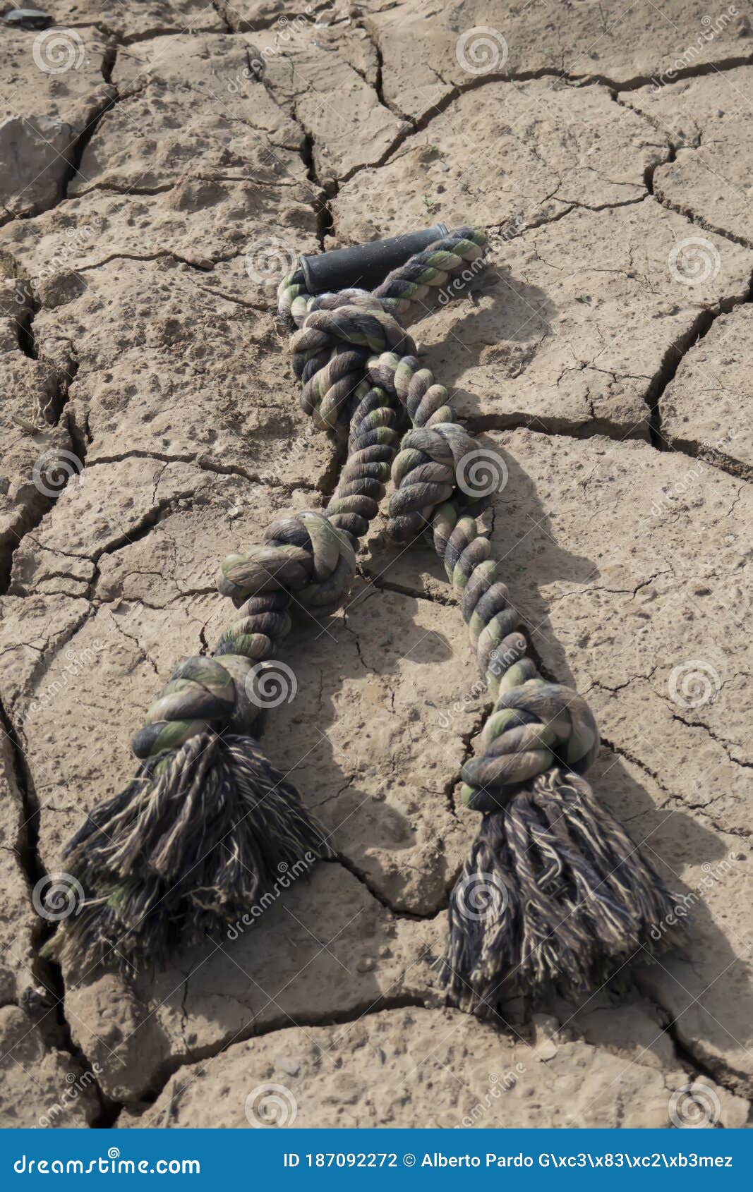 Old Rope on the Broken Dry Ground Stock Photo - Image of organic ...