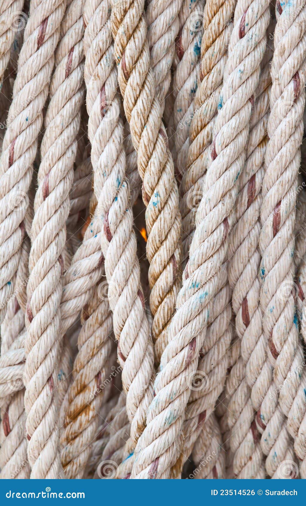 Old rope close up stock photo. Image of braided, hemp - 23514526