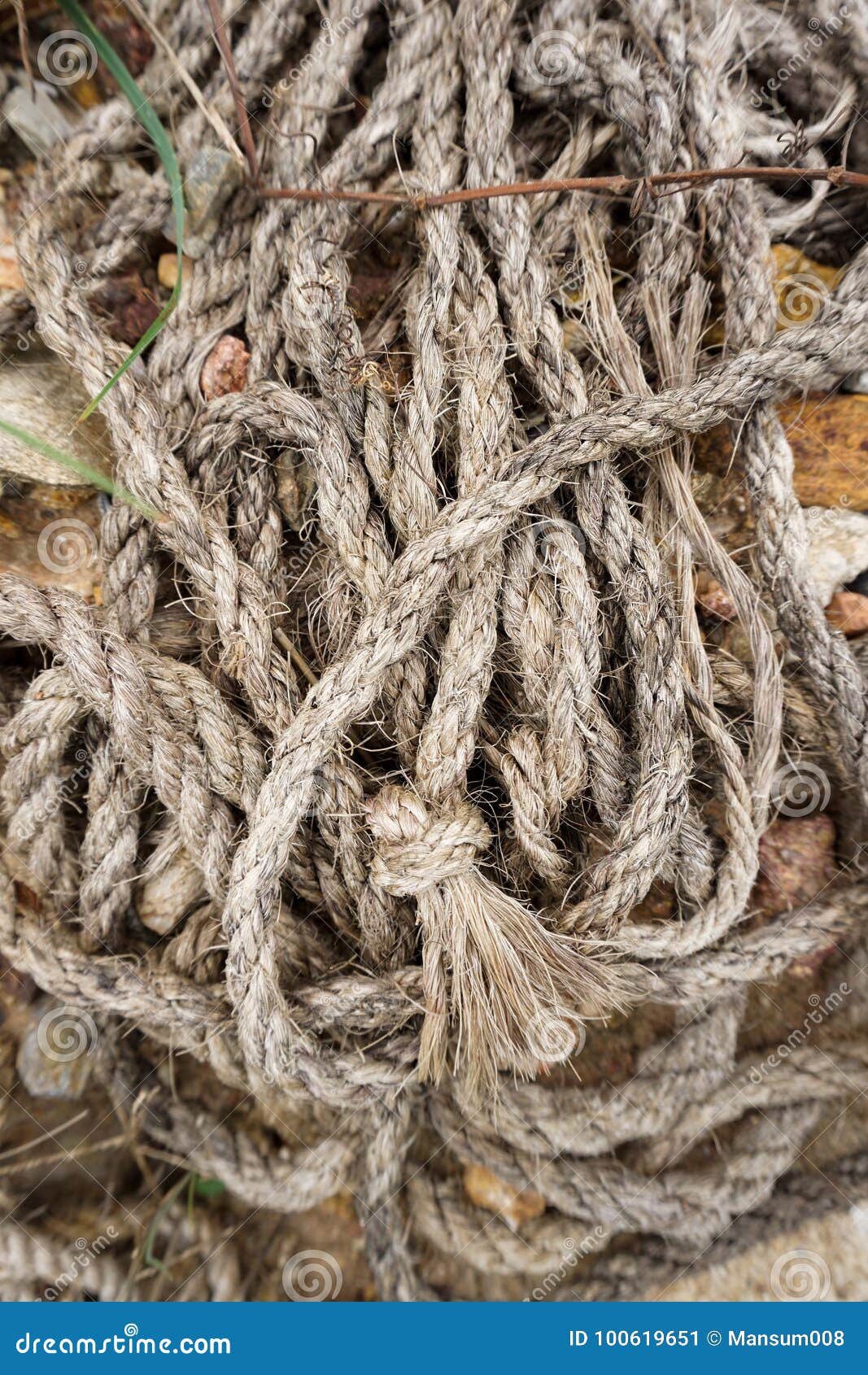 Old rope stock image. Image of ground, weathered, ragged - 100619651