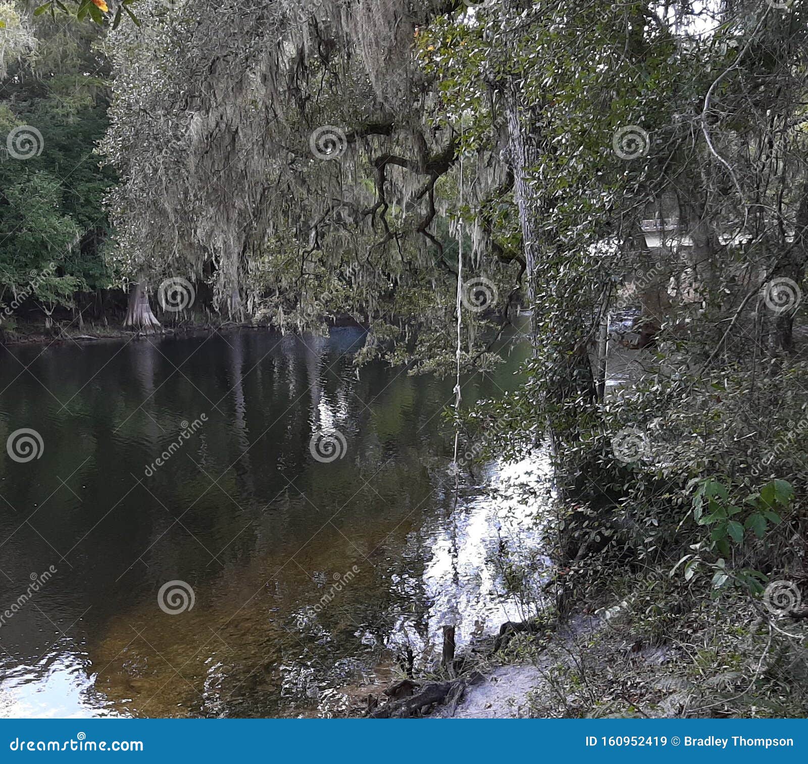 Old Rope Swing by the River Stock Image - Image of swing, rope: 160952419