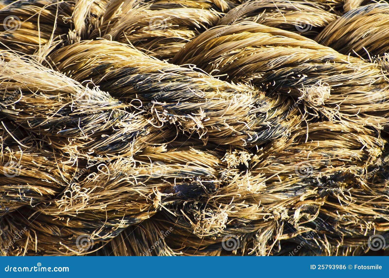 Old rope texture stock photo. Image of strong, rope, texture - 25793986