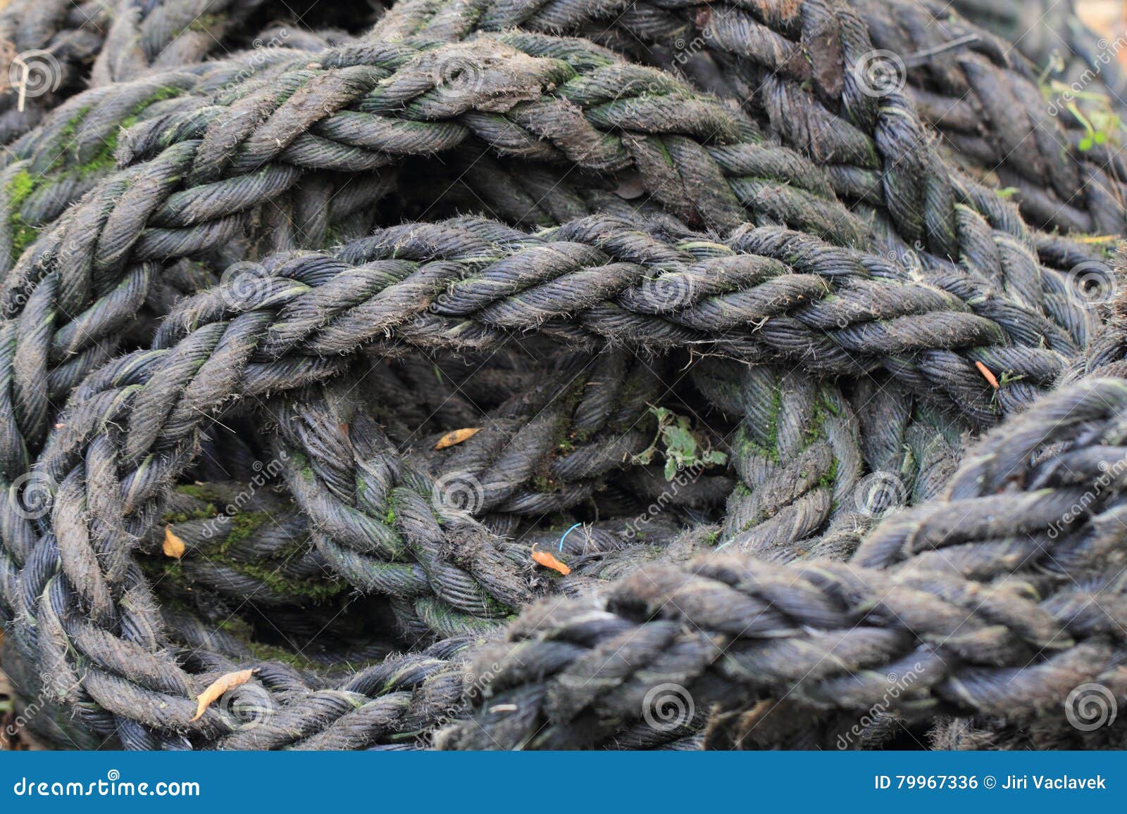 Old rope texture stock photo. Image of macro, vintage - 79967336