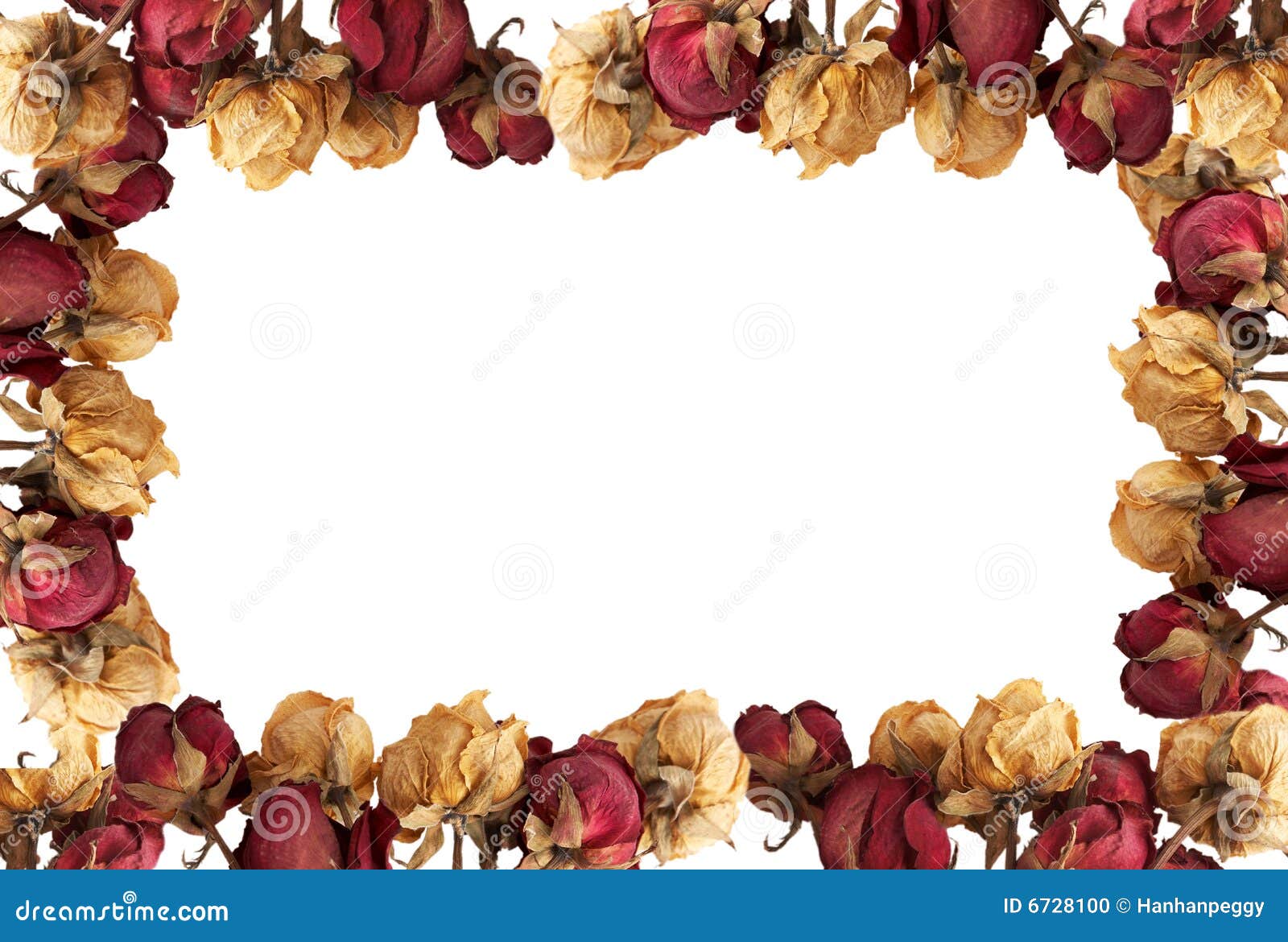 Old Rose Frame Stock Photo | CartoonDealer.com #6728100