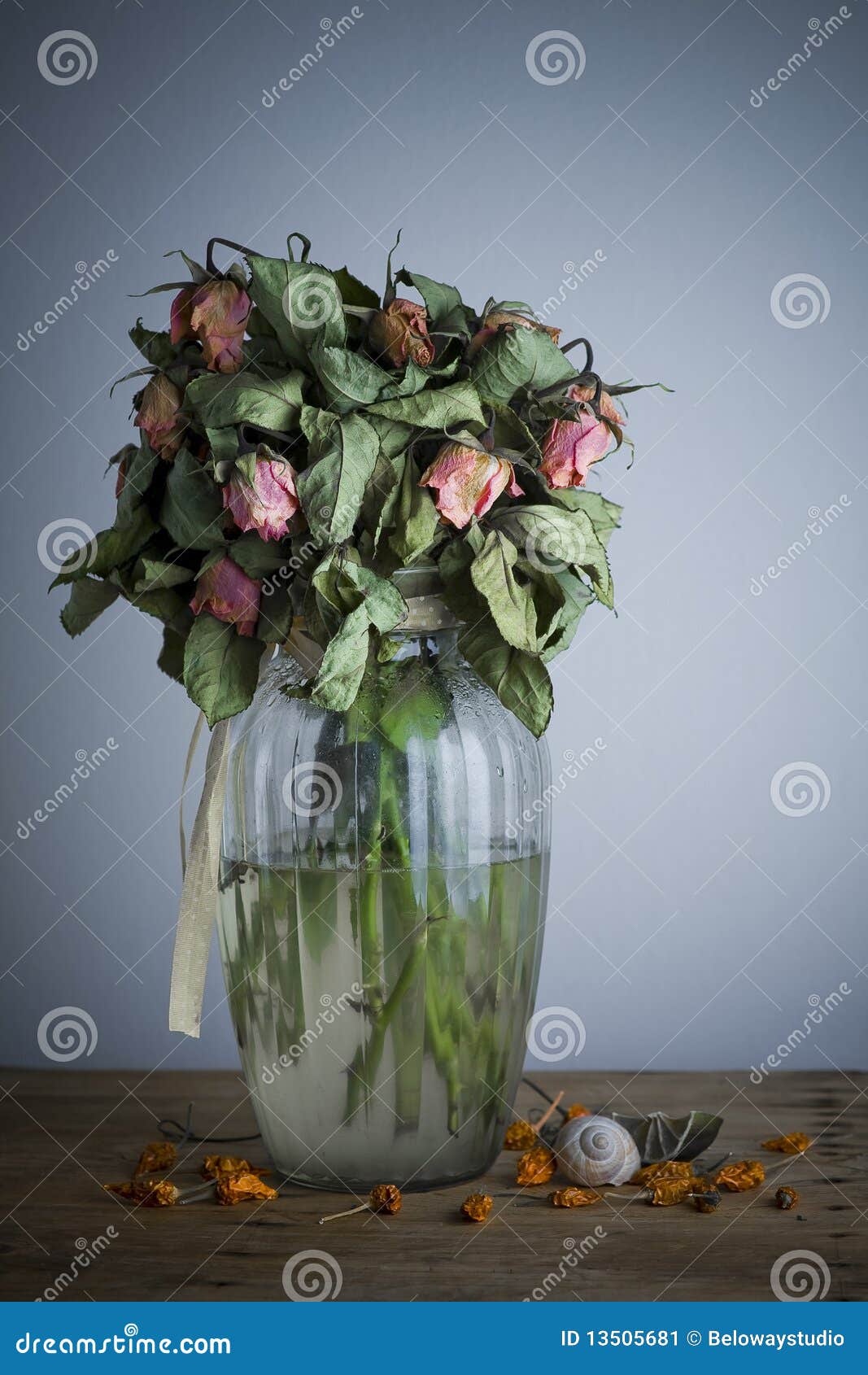 Old roses stock image. Image of objects, isolated, decay - 13505681