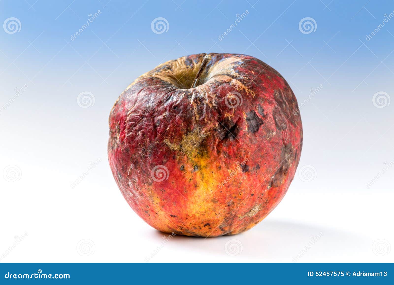 327 Old Rotting Apple Fruit Rot Red Background Stock Photos - Free ...