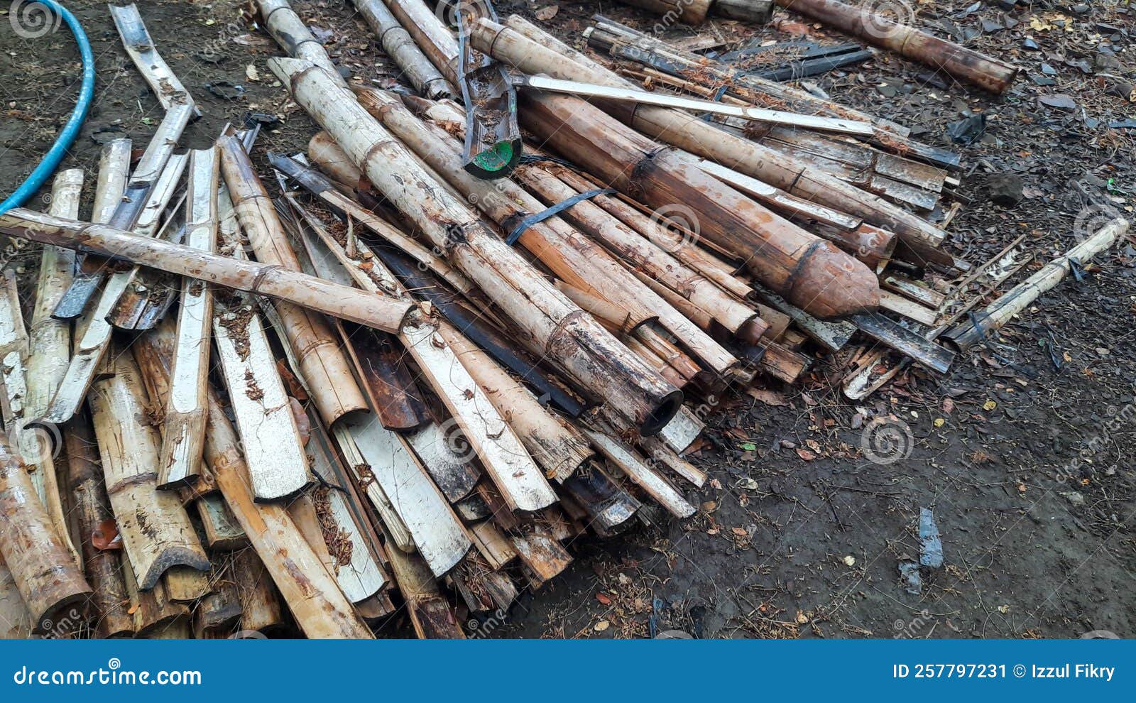 Old Rotten Bamboo Wood Pile Stock Image - Image of vehicle, food: 257797231