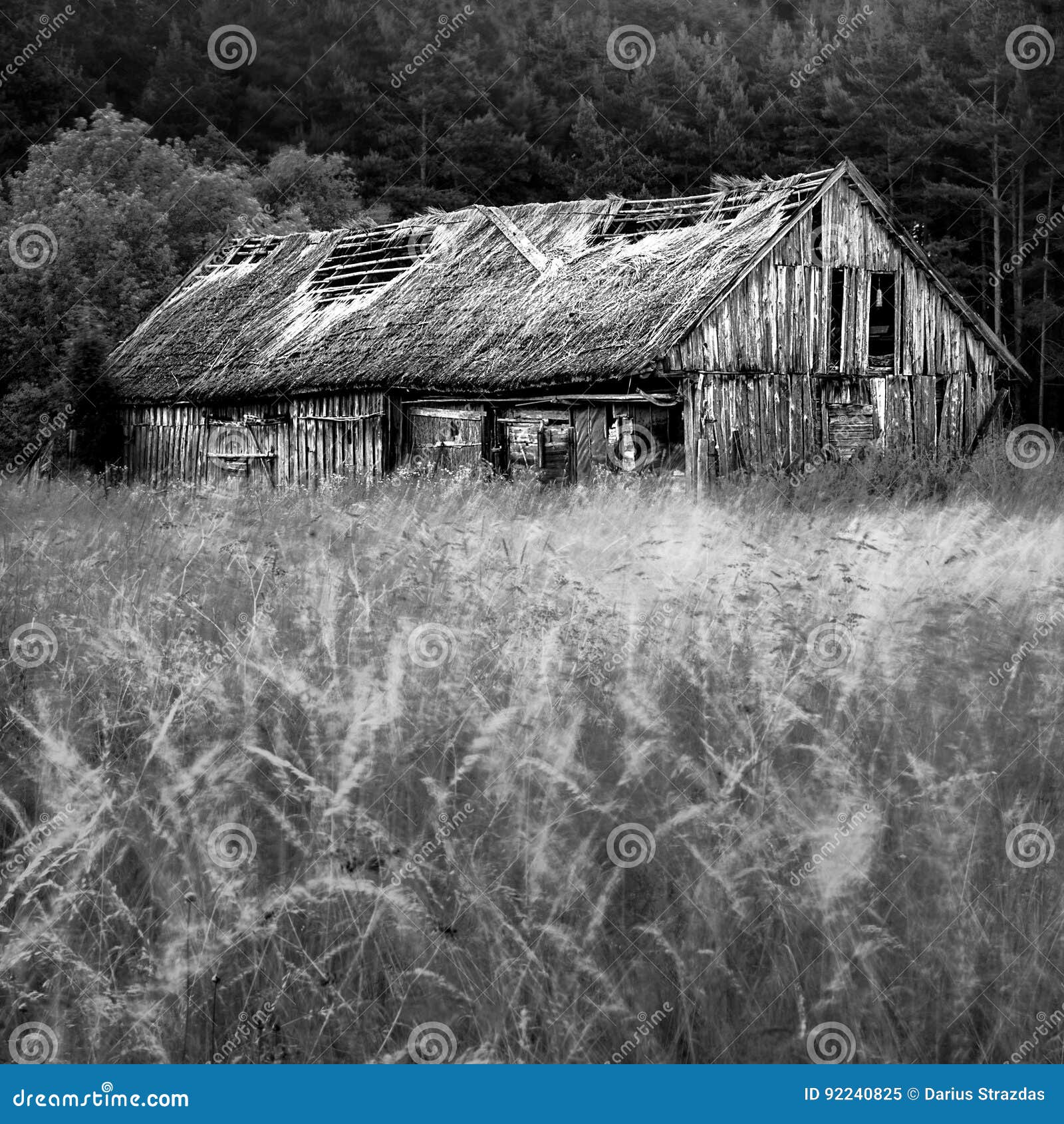 Old rotten barn stock image. Image of grass, aged, house - 92240825