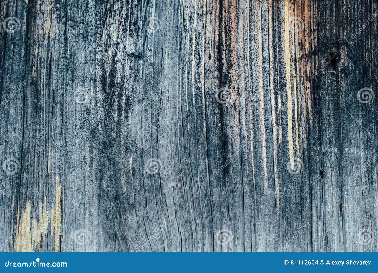 Old Rotten Boards on the Barn Stock Photo - Image of detail, lumber ...