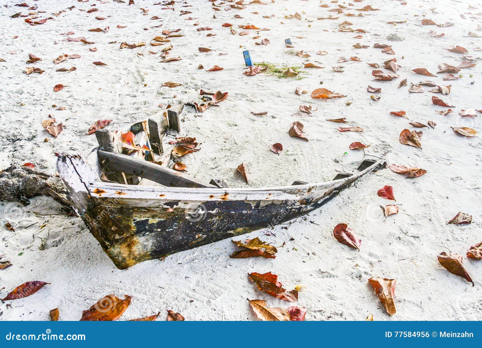 Old Rotten Boat at the Beach Stock Photo - Image of time, leaves: 77584956