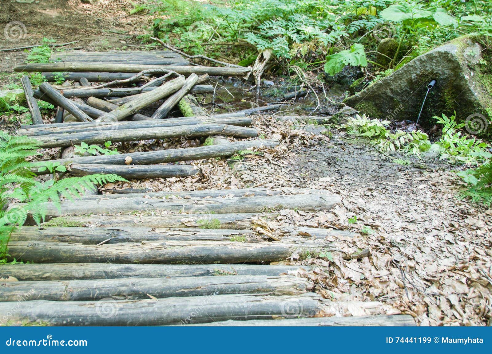 Old Rotten Bridge in the Forest Stock Image - Image of bavaria, broken ...
