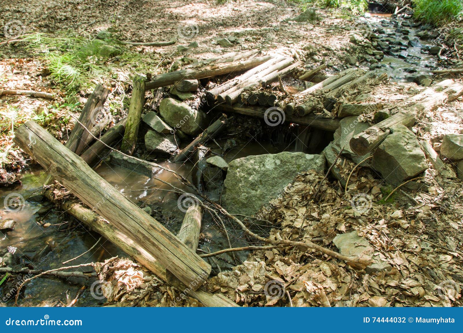 Old Rotten Bridge in the Forest Stock Photo - Image of leaf, grass ...