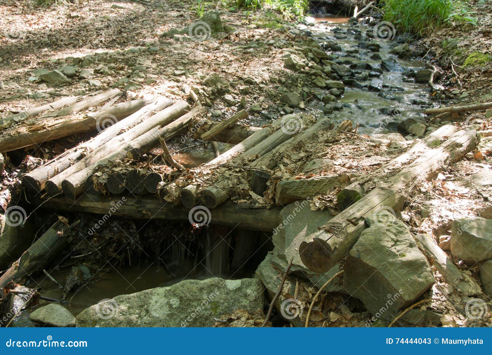 Old Rotten Bridge in the Forest Stock Image - Image of flow, early ...
