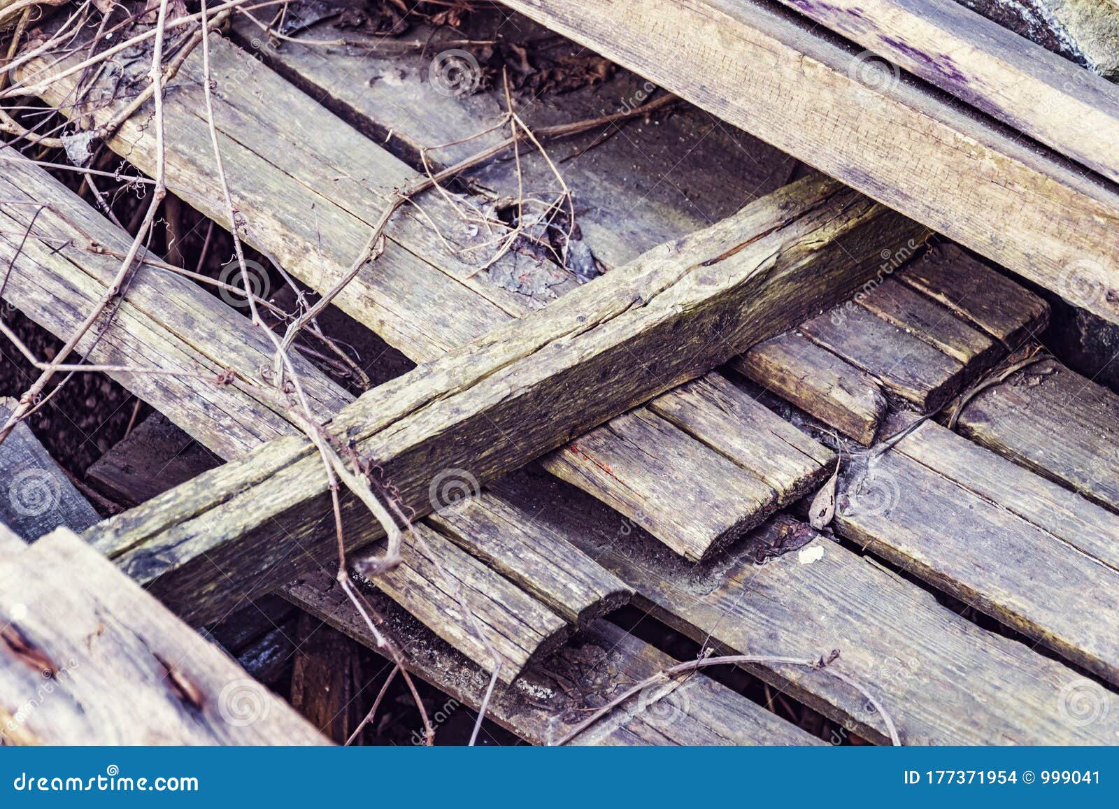 Old Rotten Decrepit Boards. Dry Plants. Stock Photo - Image of nature ...