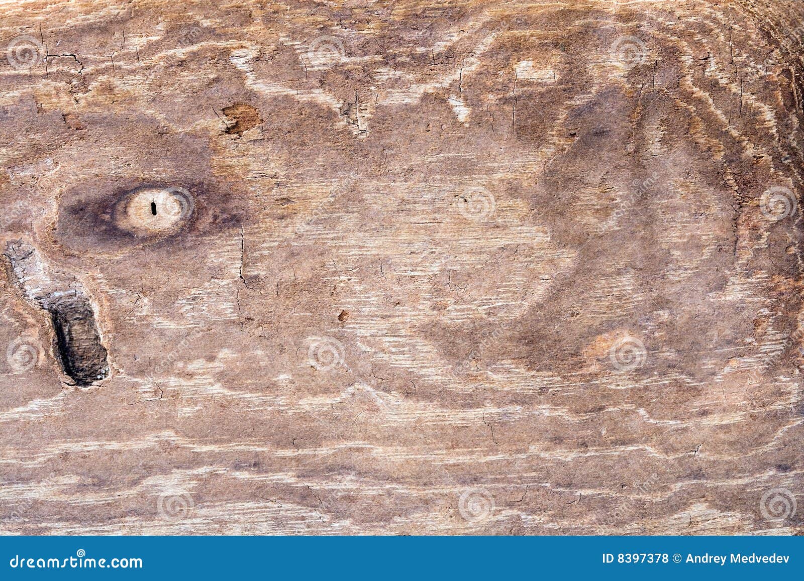 Old, rotten wood stock photo. Image of brown, border, lumber - 8397378