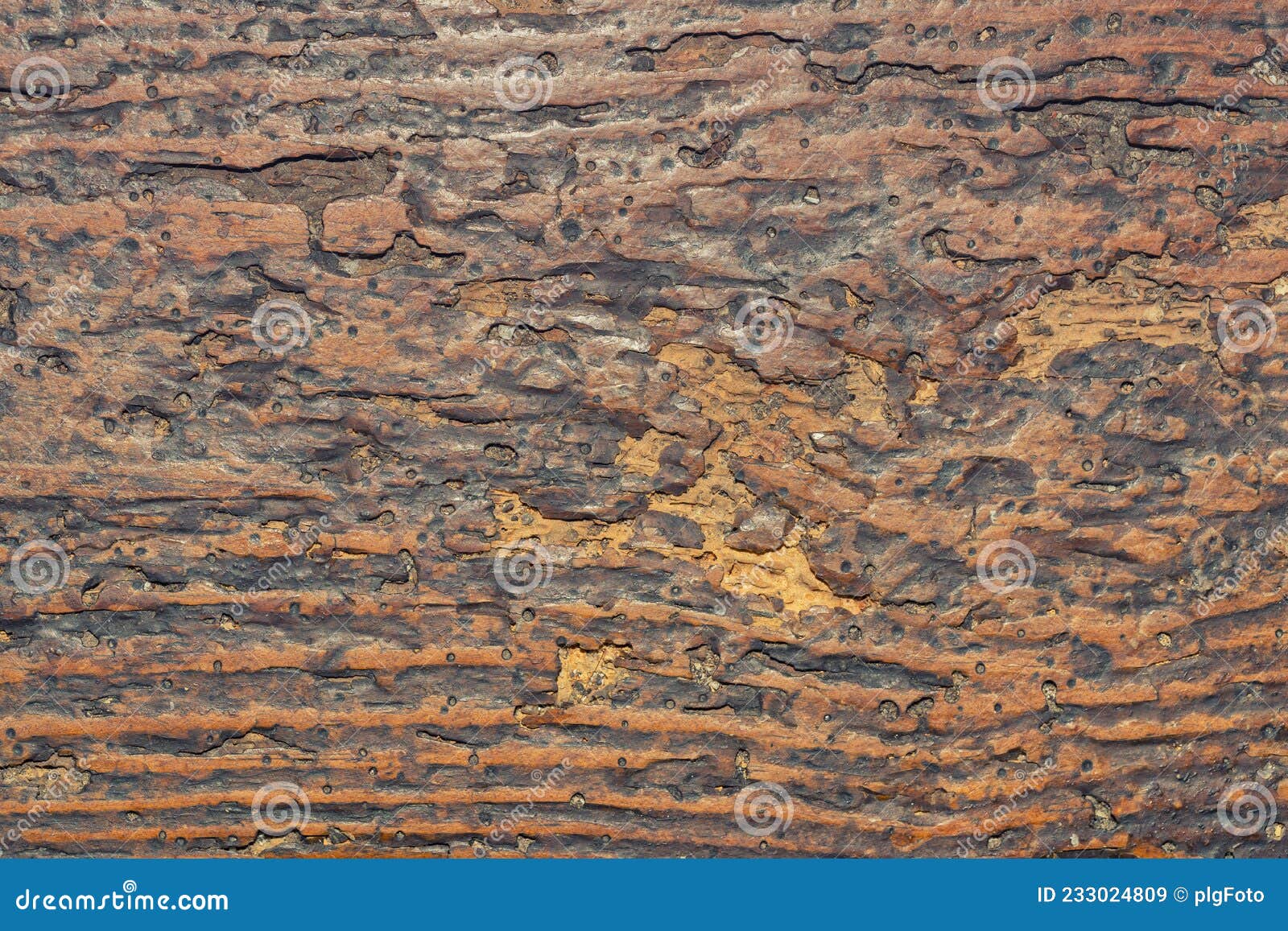 Old Rotten Wood Texture or Background Stock Image - Image of antique ...
