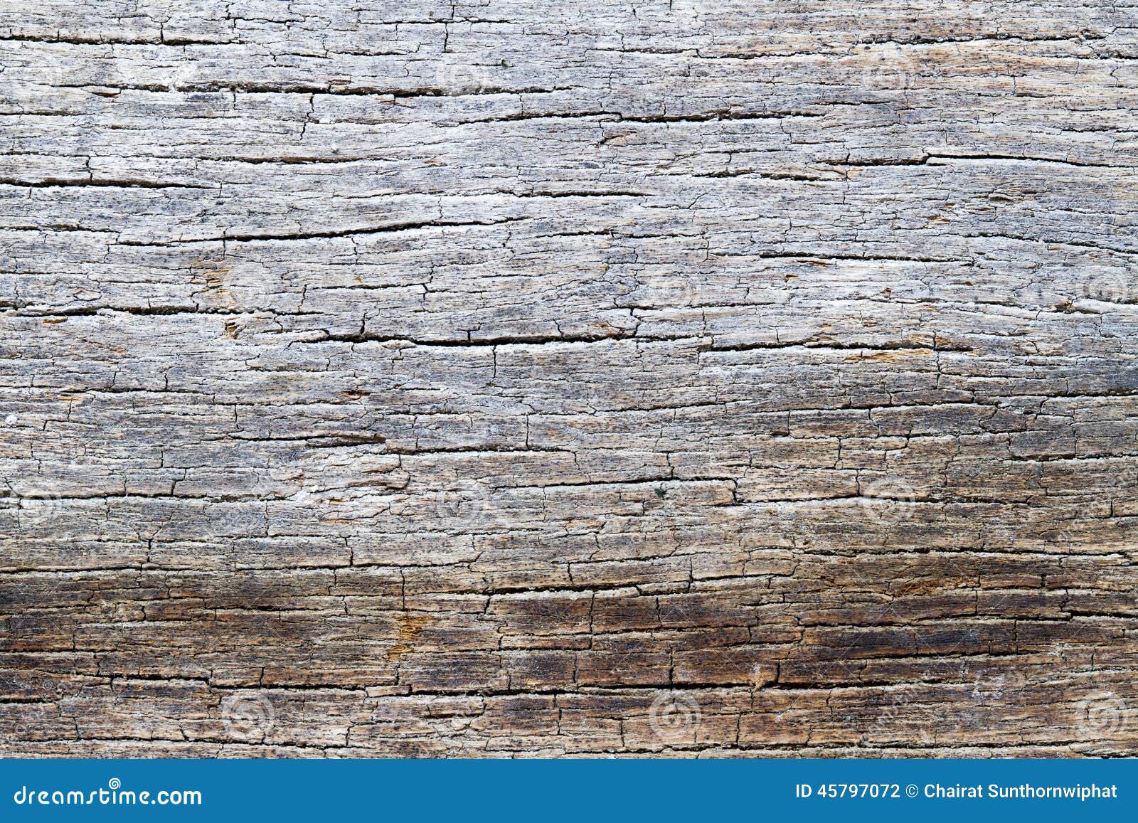 Old Rotten Wood Texture Background Stock Photo - Image of nature ...