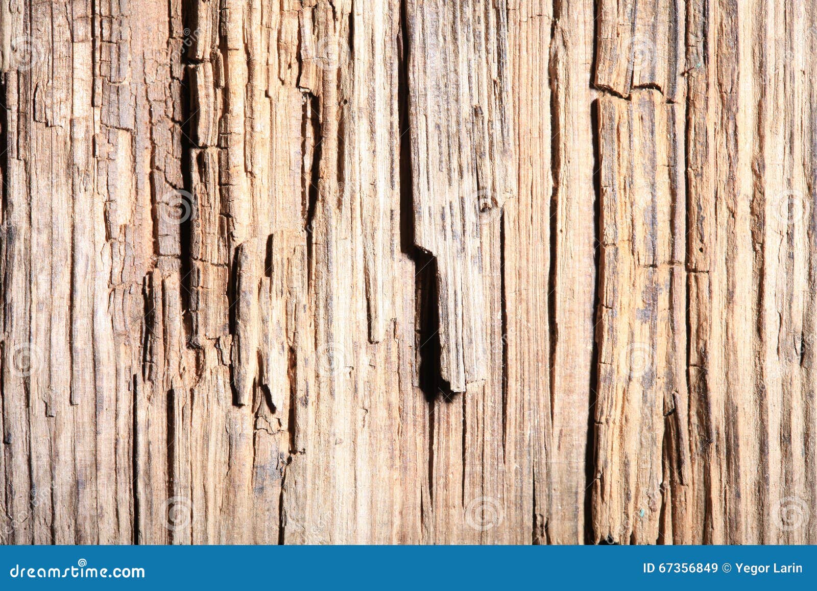 Old Rotten Wood Texture. Hard Light Stock Image - Image of closeup ...