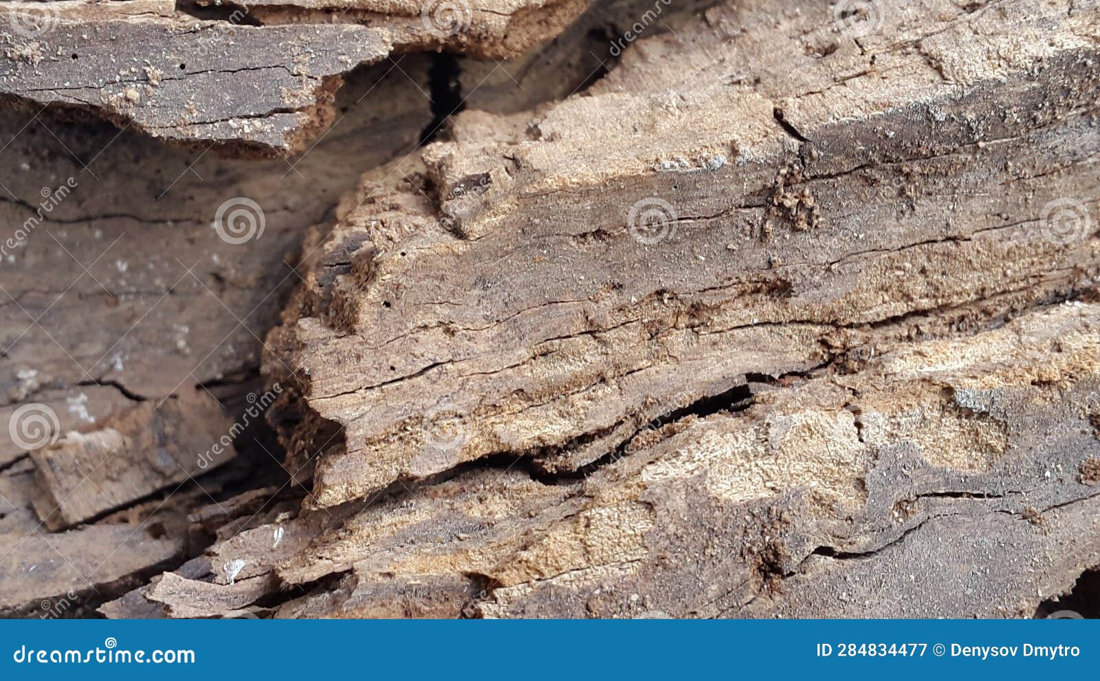 Old Rotten Wood. Vintage Background of Old Rotten Wood. Vintage ...