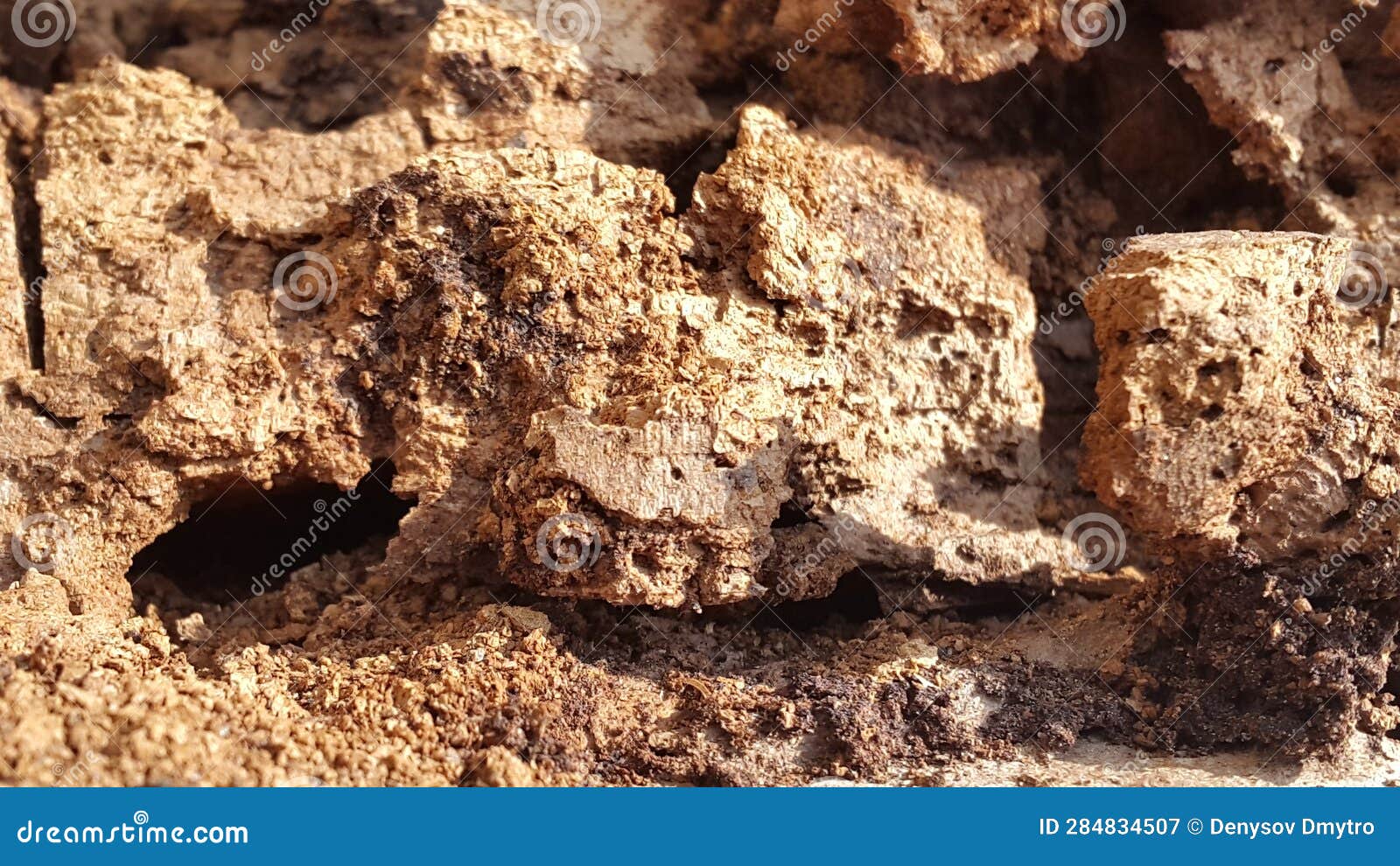 Old Rotten Wood. Vintage Background of Old Rotten Wood. Vintage ...