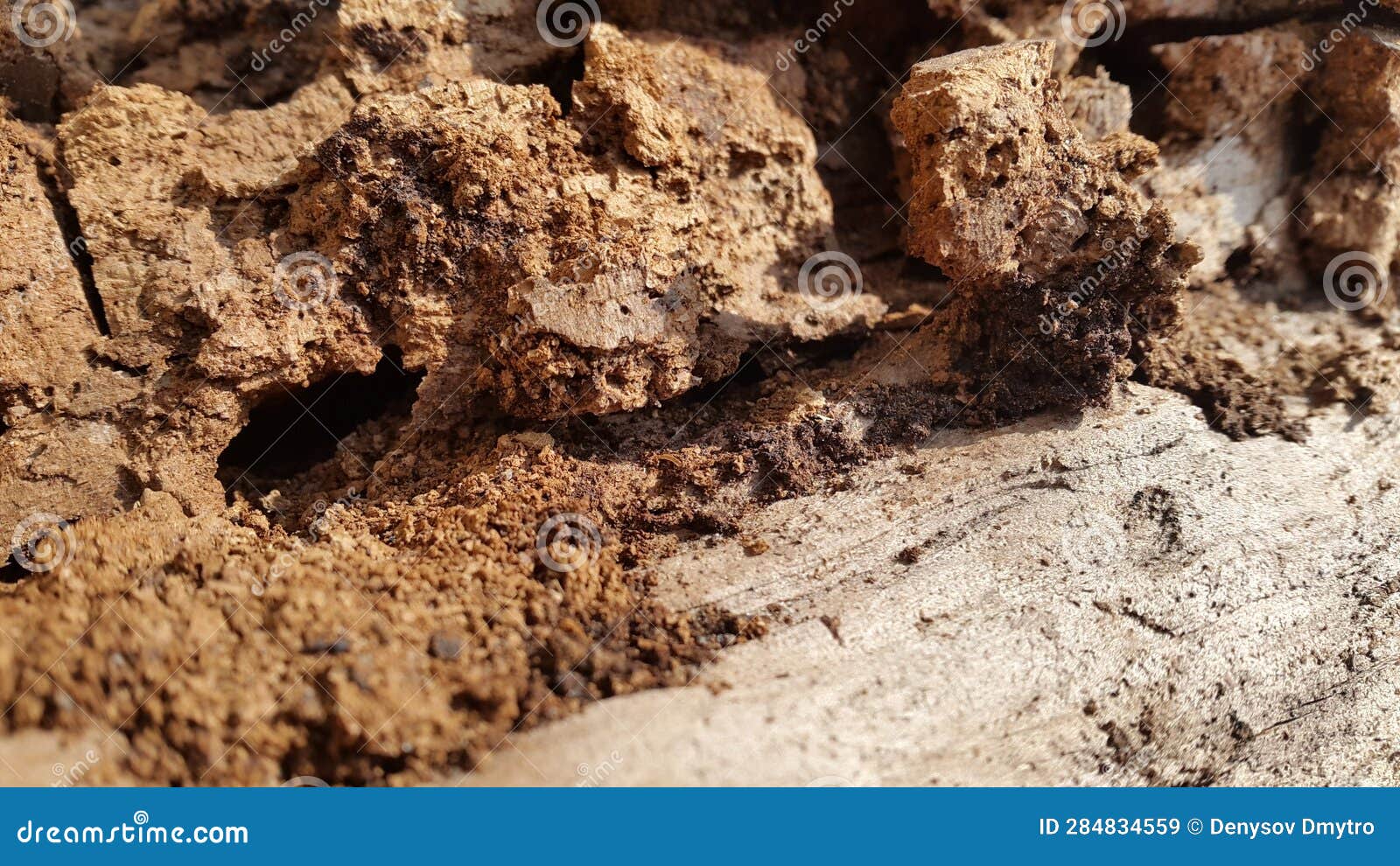 Old Rotten Wood. Vintage Background of Old Rotten Wood. Vintage ...