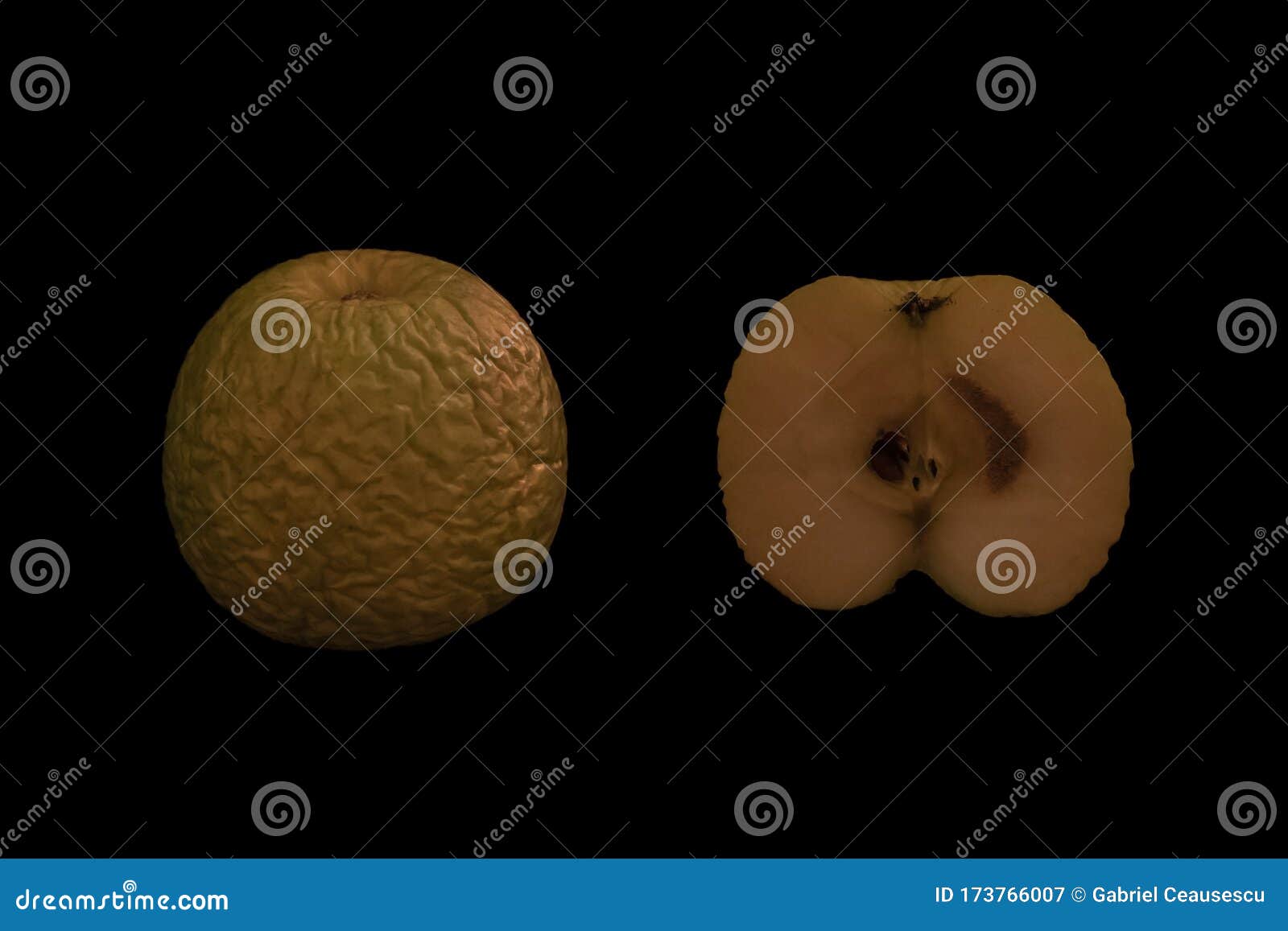 Old apple still life stock image. Image of apple, details - 173766007