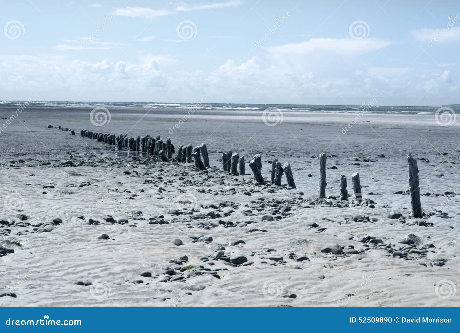 Old rotting wave breakers stock photo. Image of horizon - 52509890
