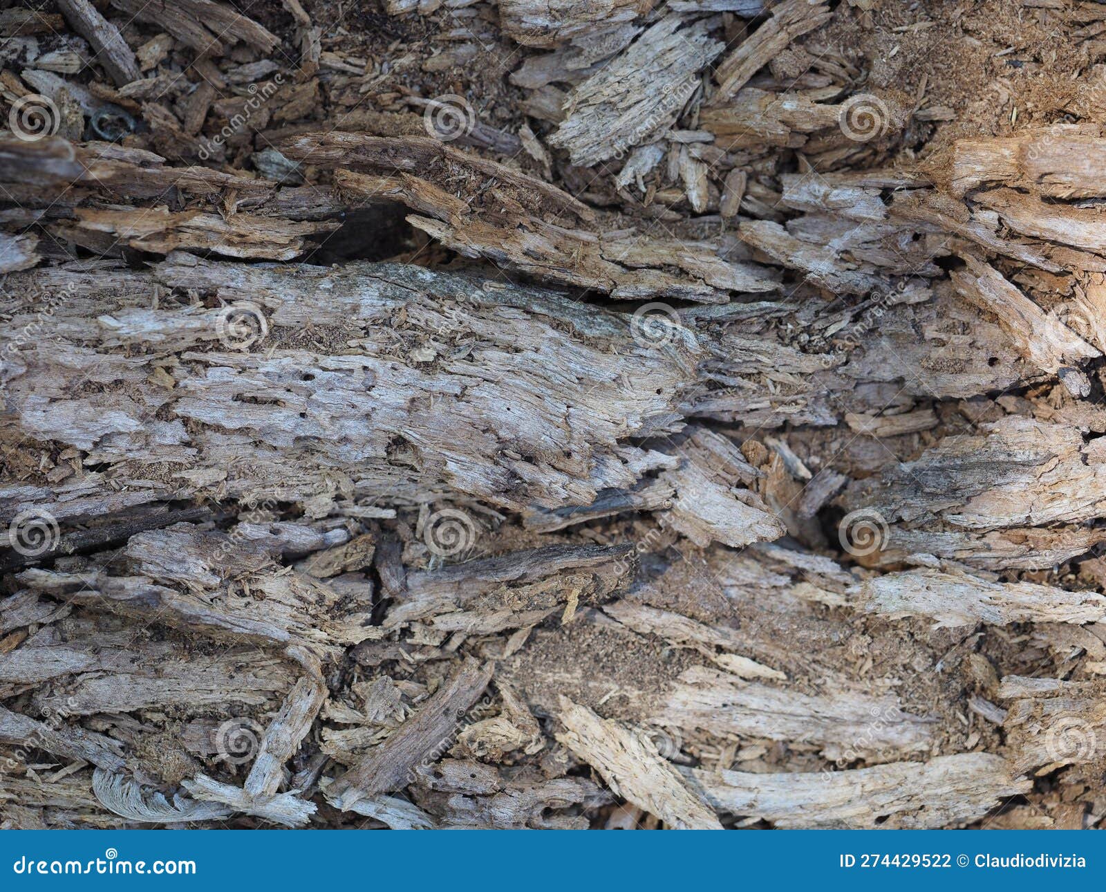 Old Rotting Wood Texture Background Stock Photo - Image of surface ...