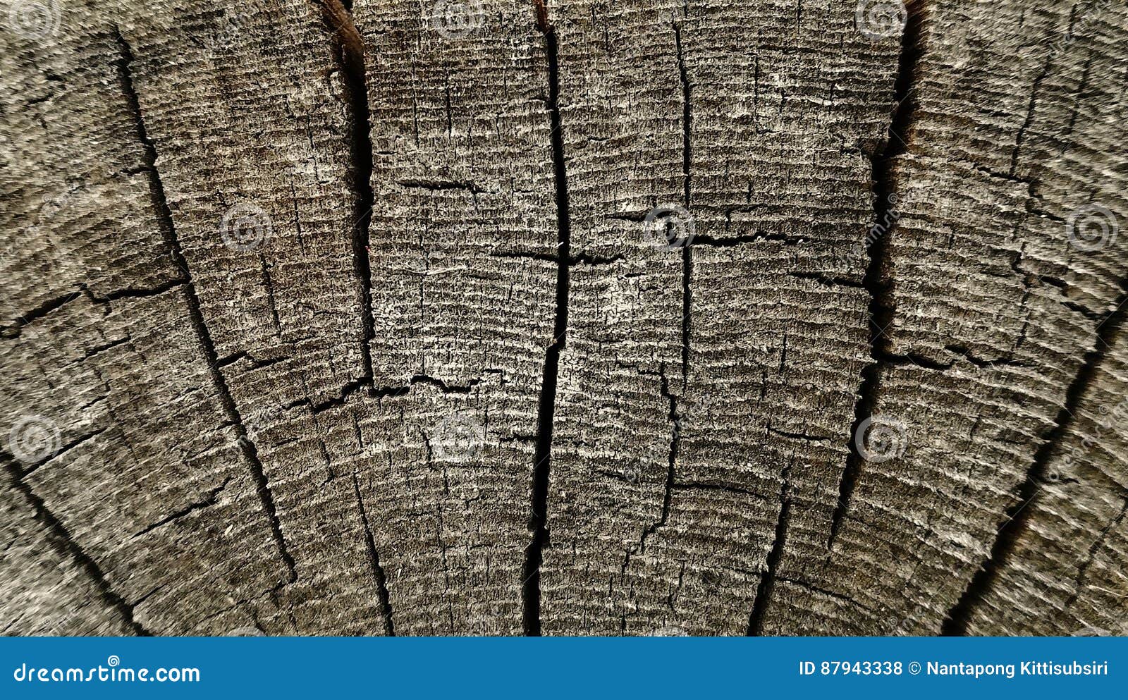 Old Rough Cross Section Wood Texture for Background Stock Photo - Image ...