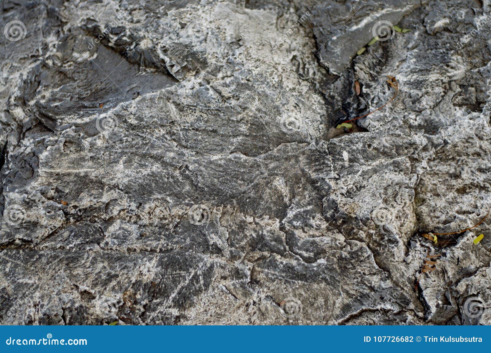 The Old Rough Stone stock photo. Image of aging, macro - 107726682