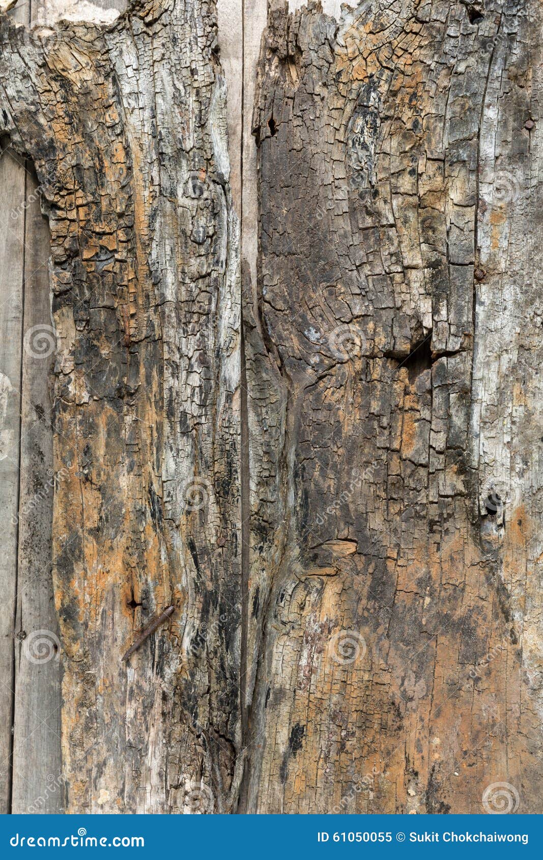 Old rough wood background stock image. Image of wood - 61050055