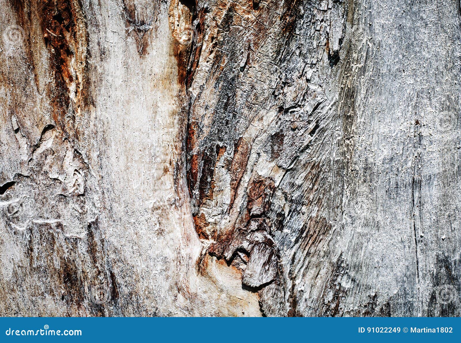 Old rough wood texture. stock image. Image of closeup - 91022249