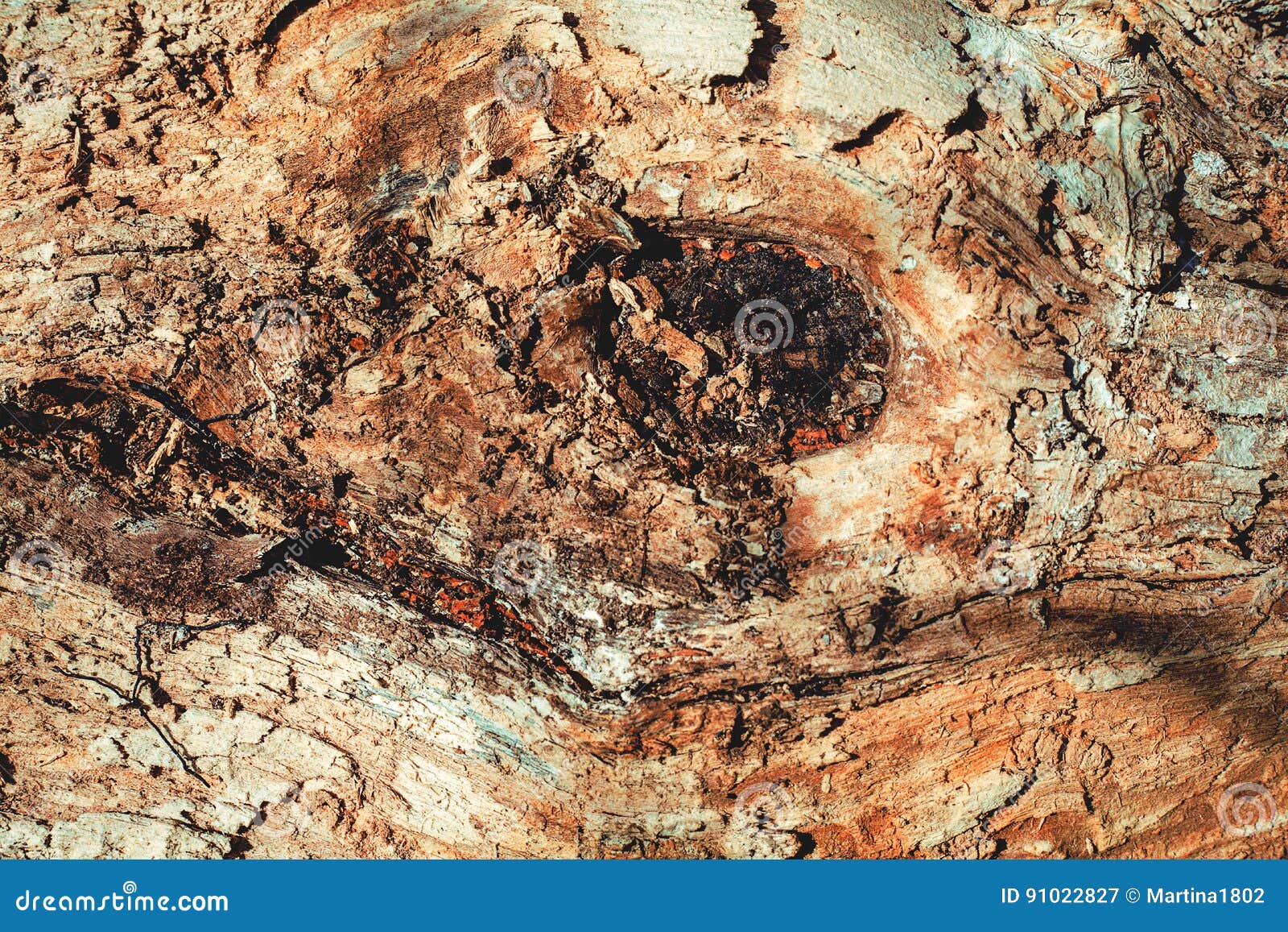 Old rough wood texture. stock image. Image of material - 91022827