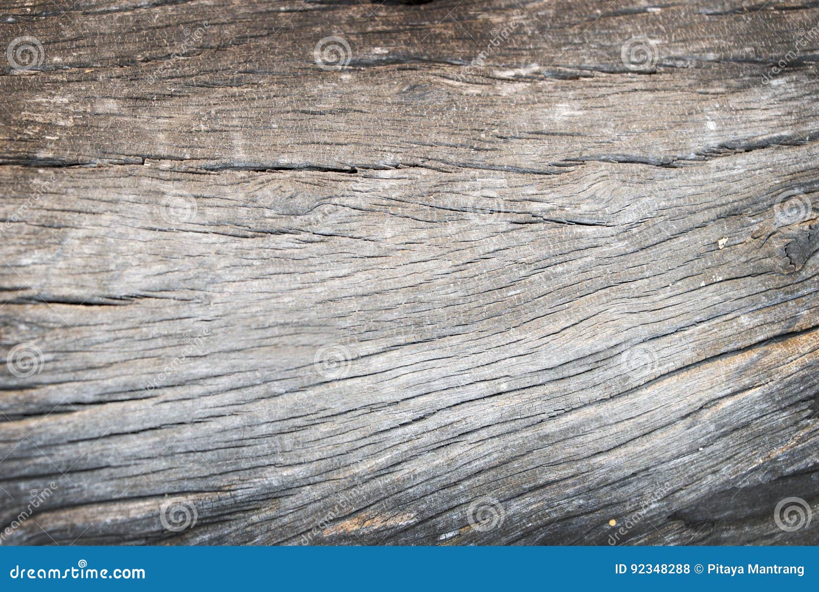 Old Rough Wood Texture. Wooden Texture Stock Photo - Image of crack ...
