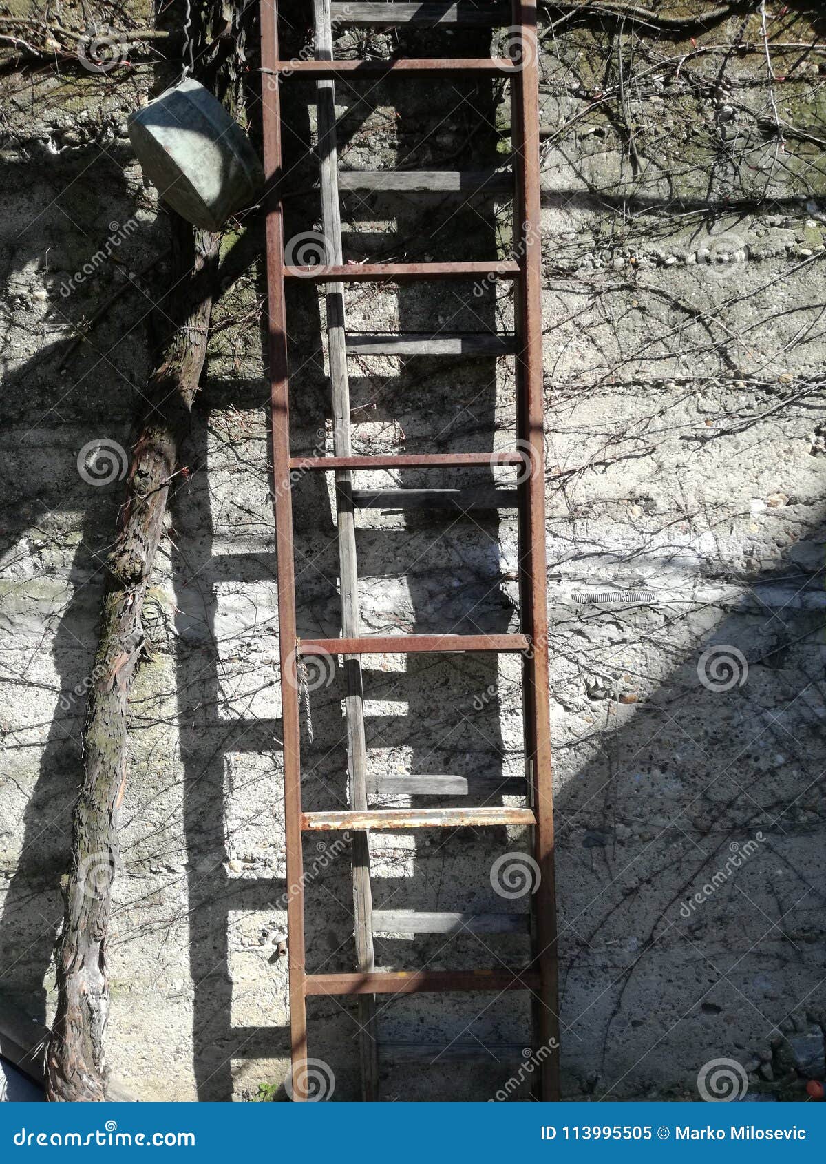Ladders stock image. Image of sunset, winter, spring - 113995505