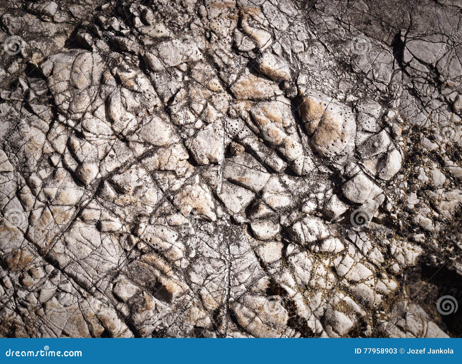The Surface Of A Limestone Cave Walls. Stock Photography ...